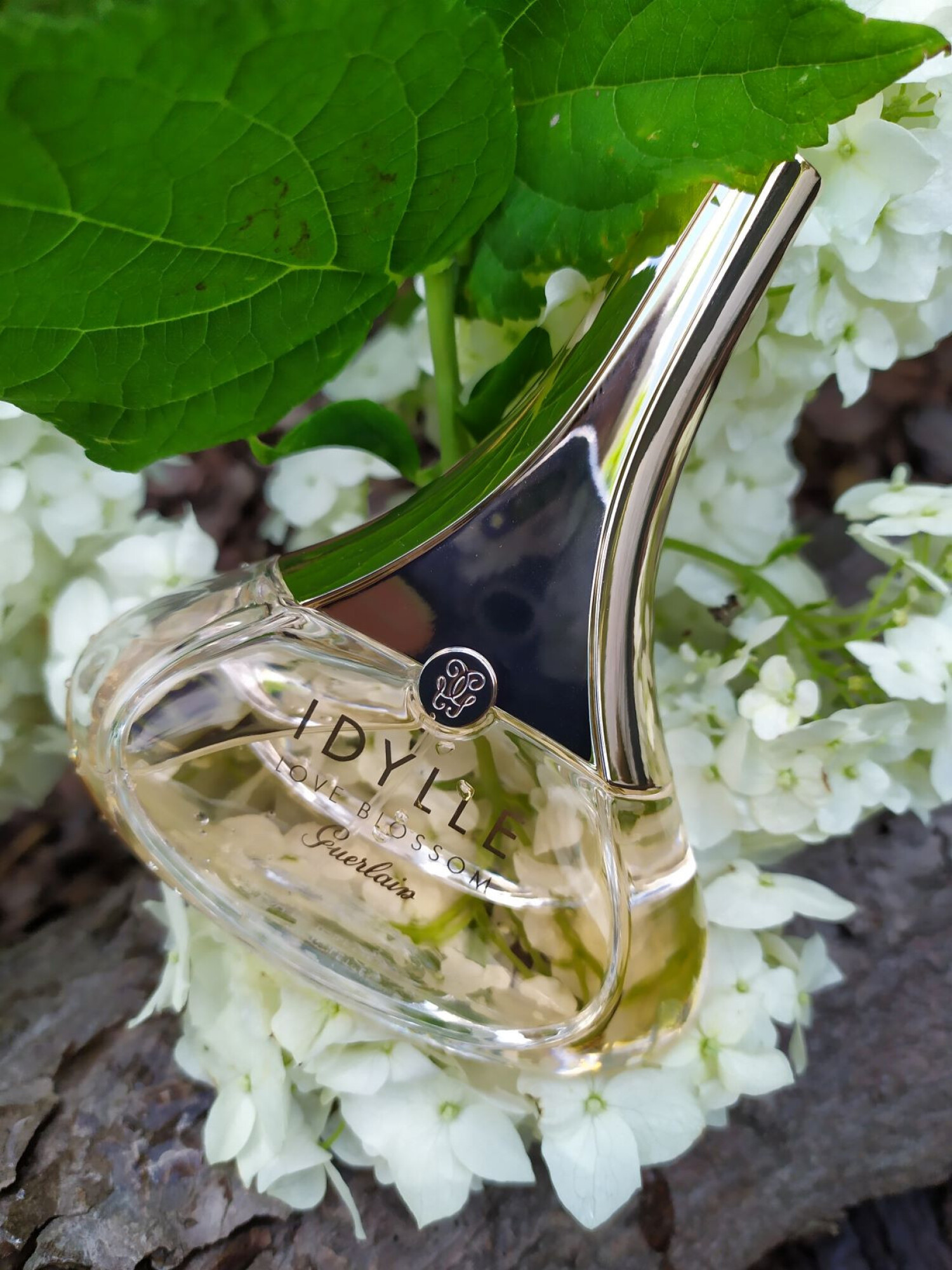 Idylle Love Blossom Guerlain perfume - a fragrance for women 2014