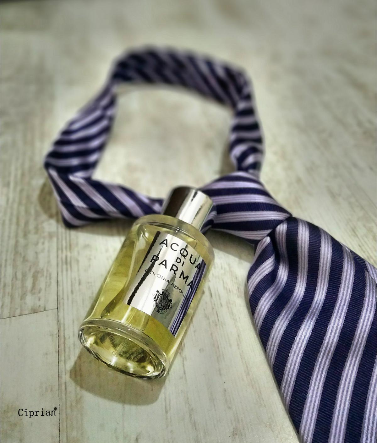 Acqua di Parma Colonia Assoluta Acqua di Parma Parfum - ein es Parfum ...