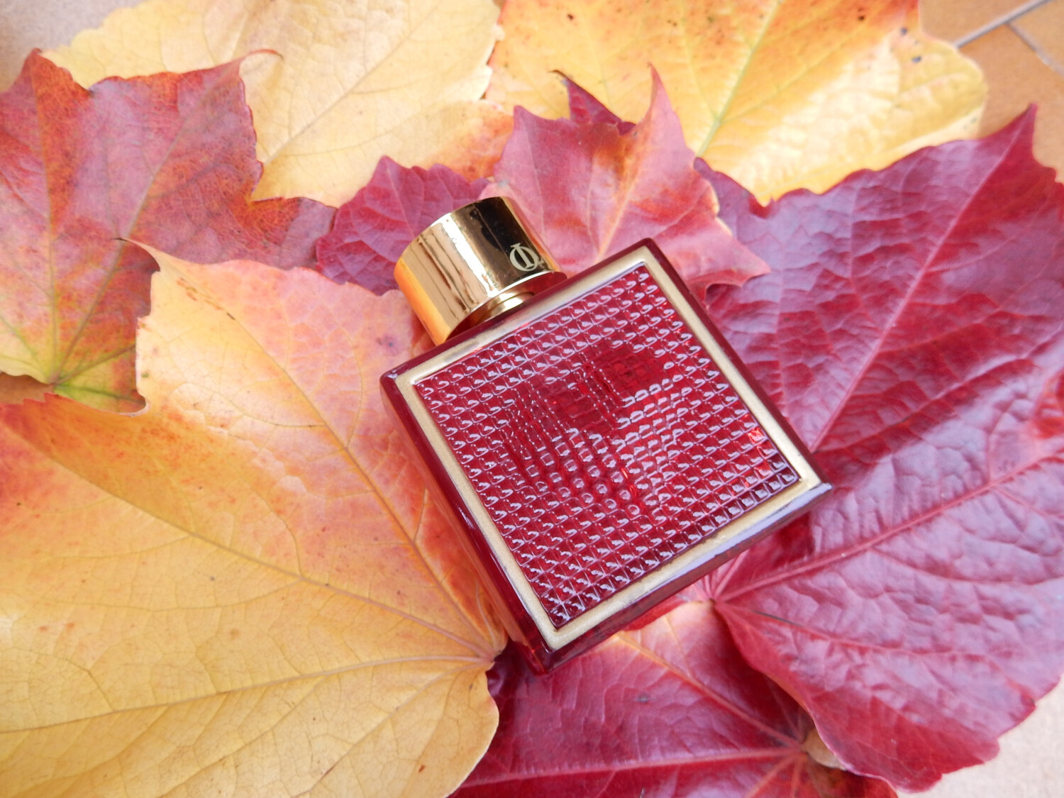 Queen by Queen Latifah Queen Latifah perfume - a fragrance for women 2009