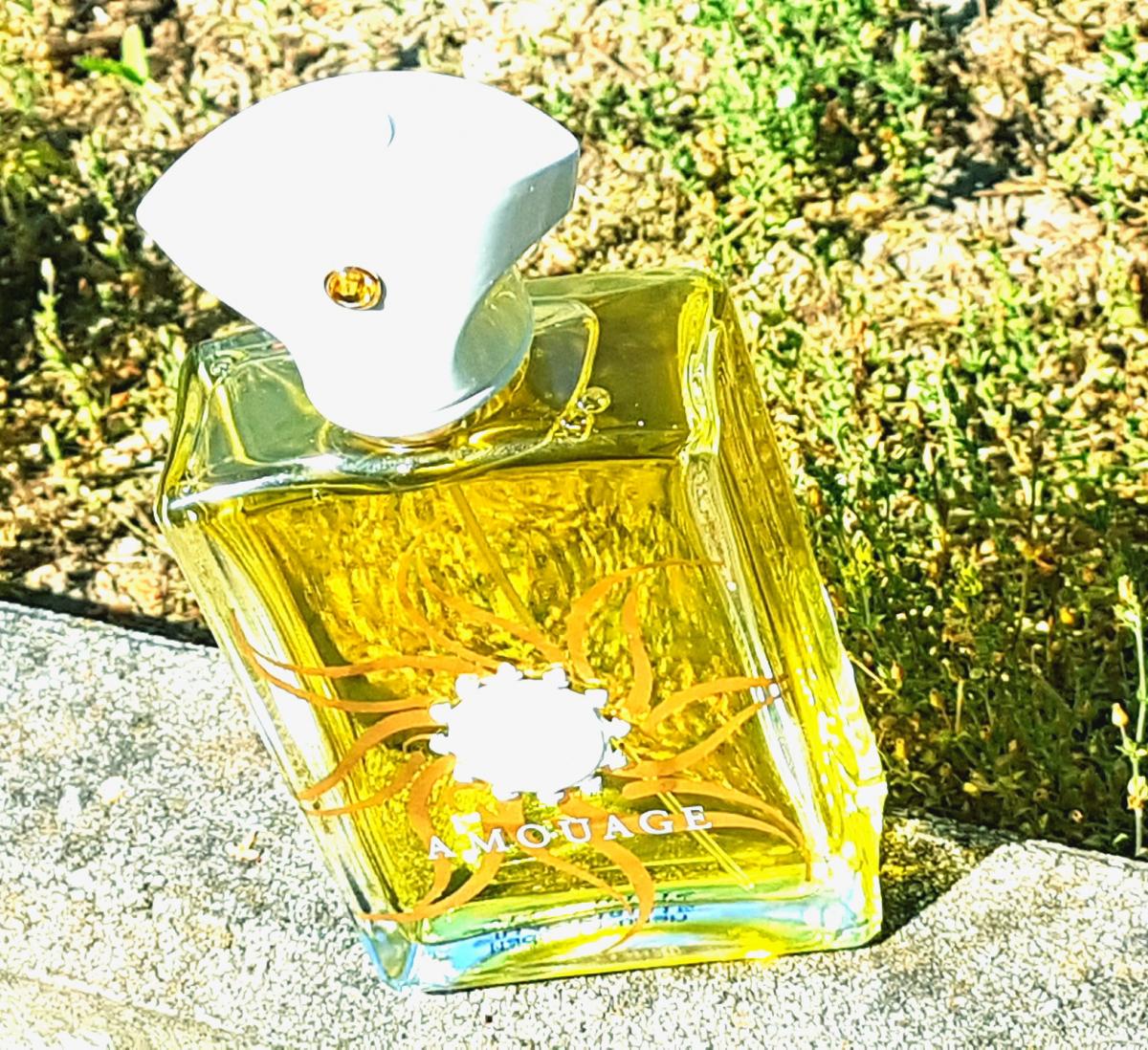 Sunshine Man Amouage cologne - a fragrance for men 2015