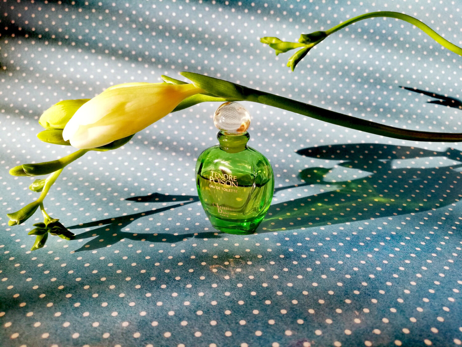 Tendre Poison Dior perfume - a fragrance for women 1994