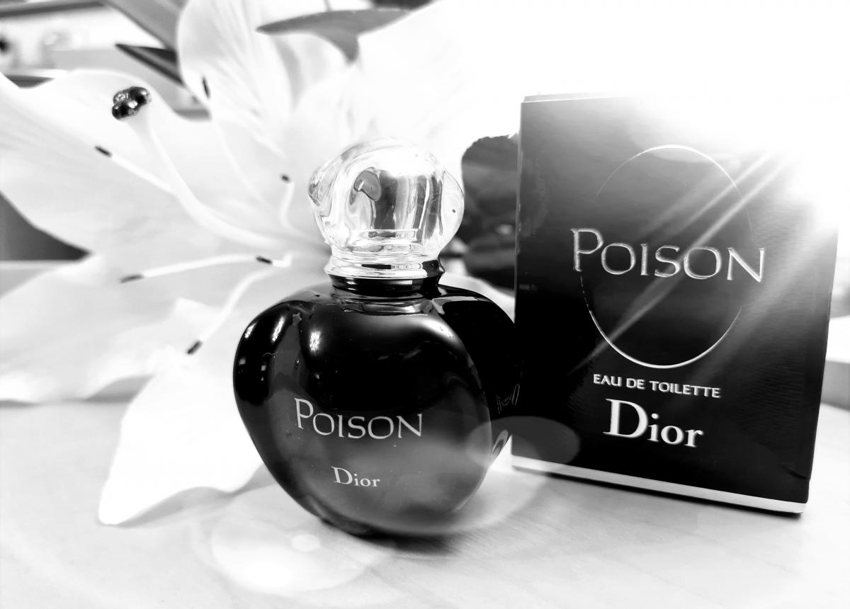 Poison Dior perfume - a fragrância Feminino 1985