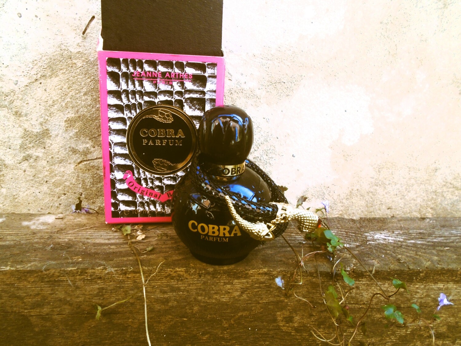 Cobra Jeanne Arthes perfume - a fragrance for women