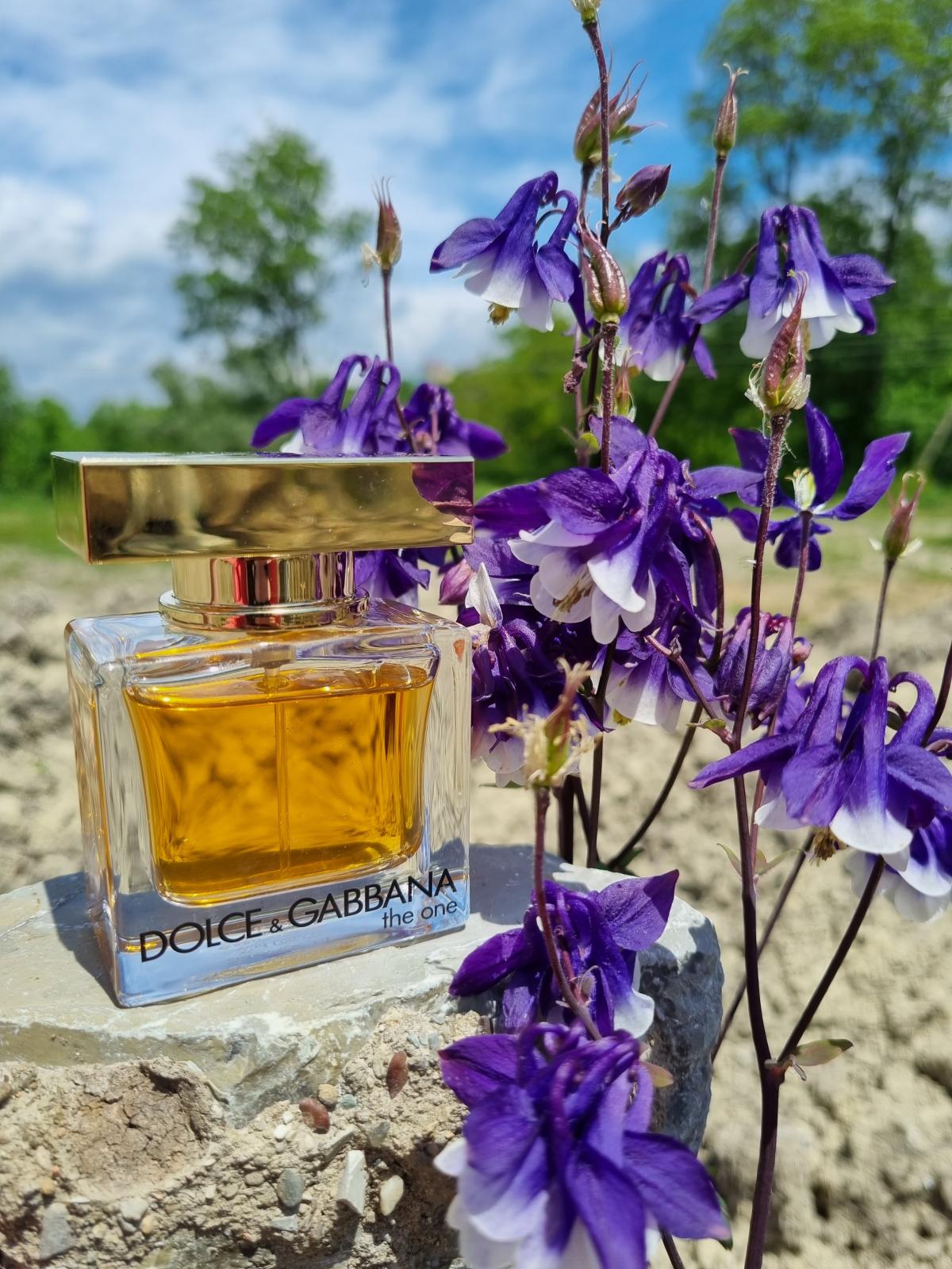 The One Eau de Toilette Dolce&Gabbana perfume - a fragrance for women 2017