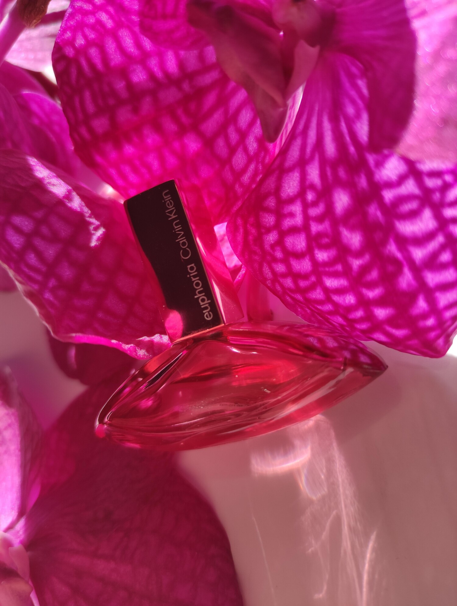 Euphoria Magnetic Elixir Calvin Klein perfume - a new fragrance for ...