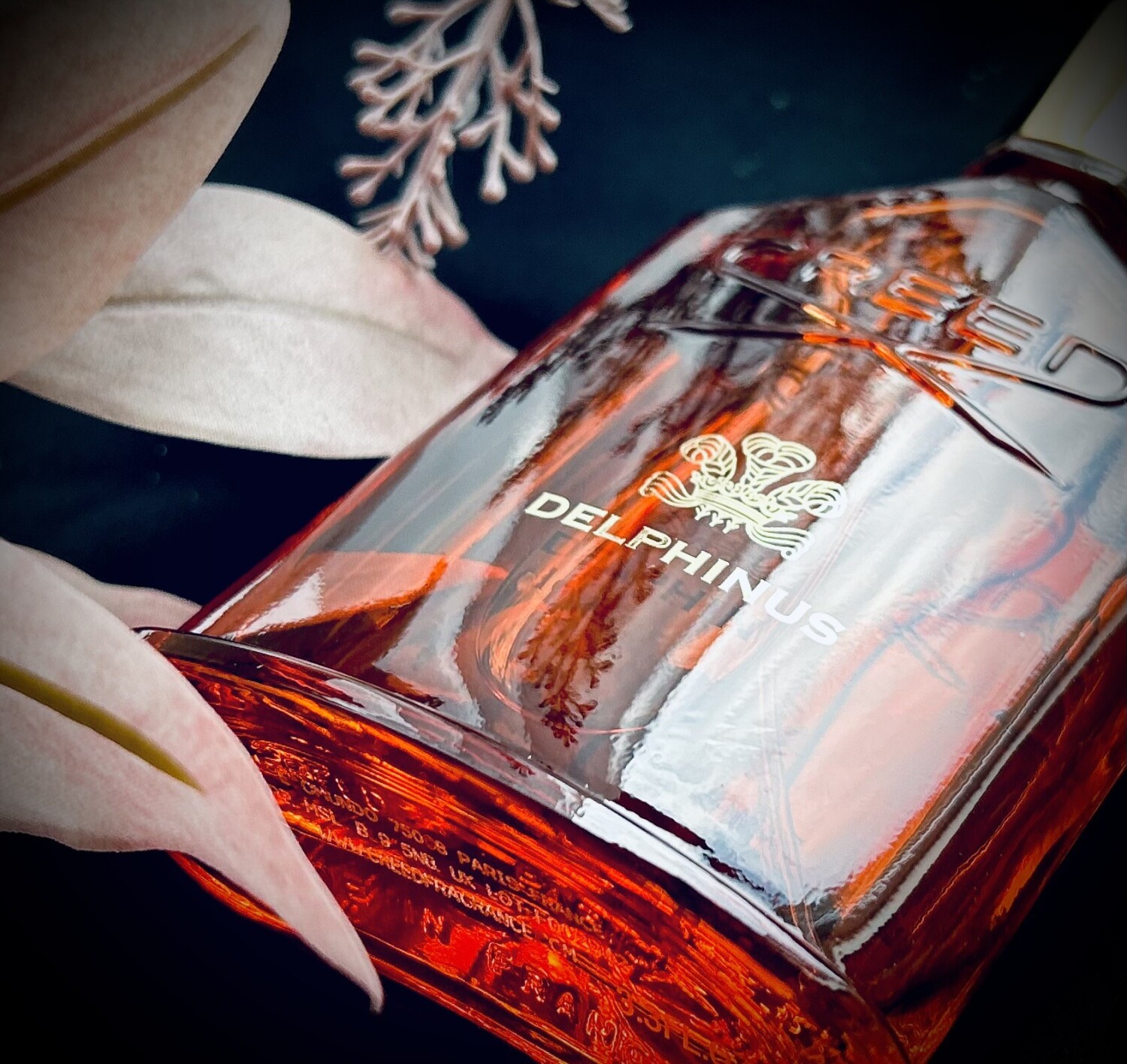 Delphinus Creed perfume - a new fragrance for women and men 2024