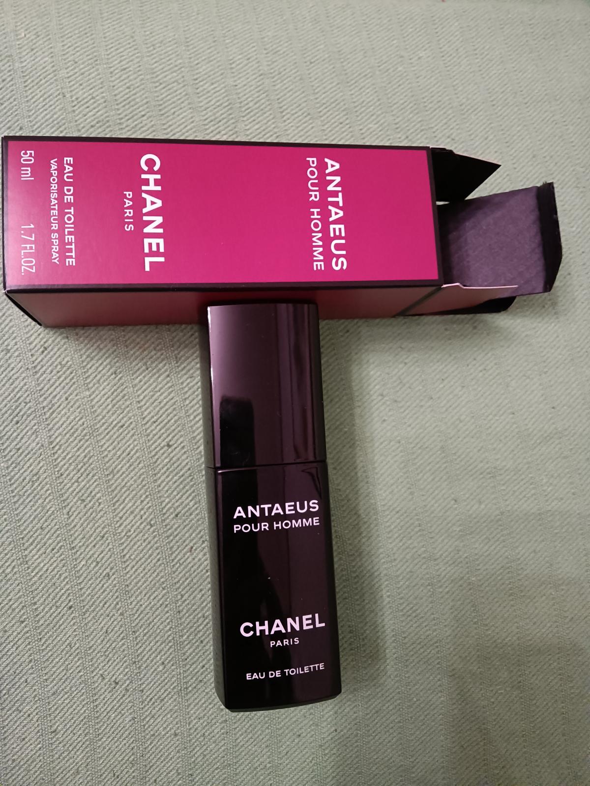 Antaeus Chanel cologne - a fragrance for men 1981