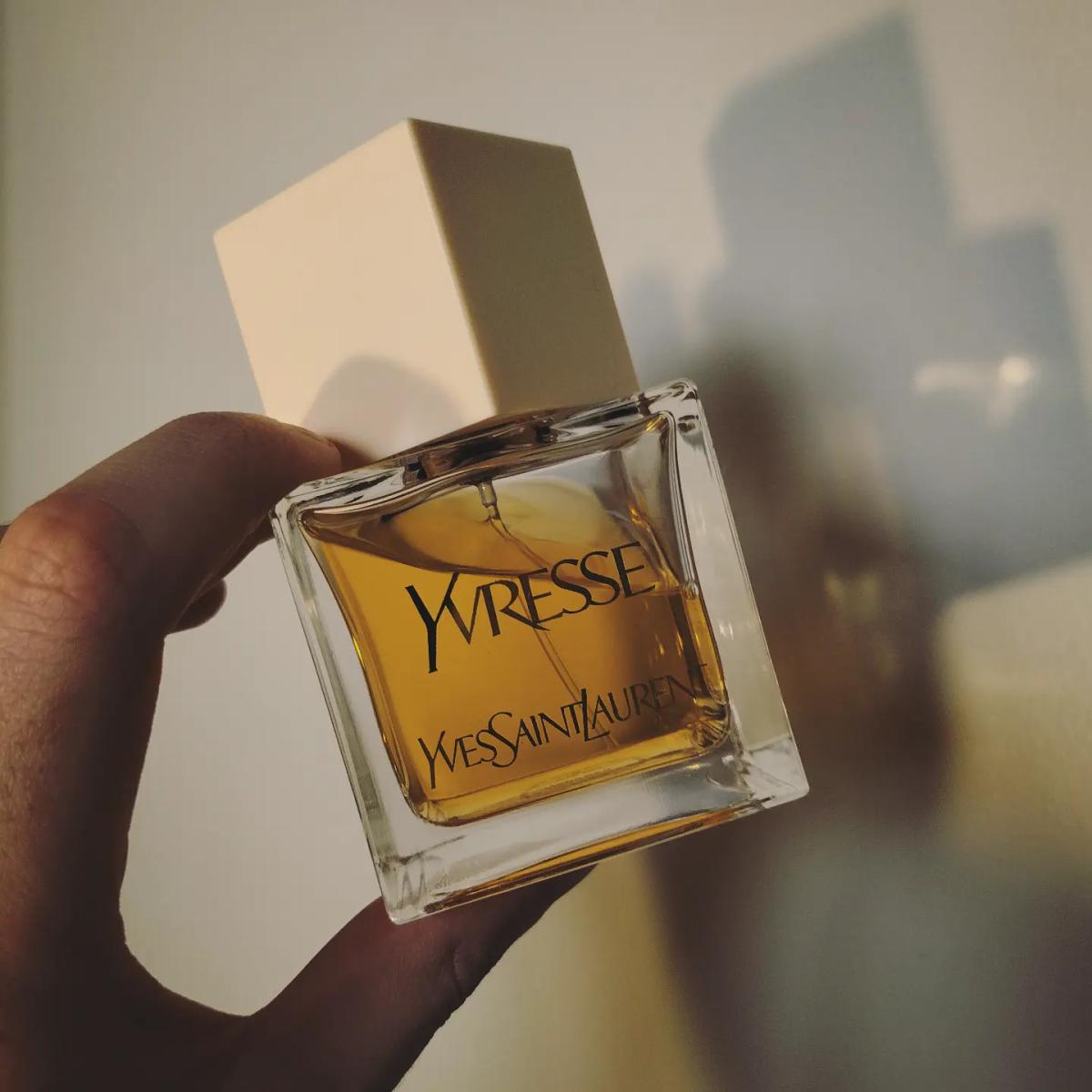 La Collection Yvresse Yves Saint Laurent аромат — аромат для женщин 2011