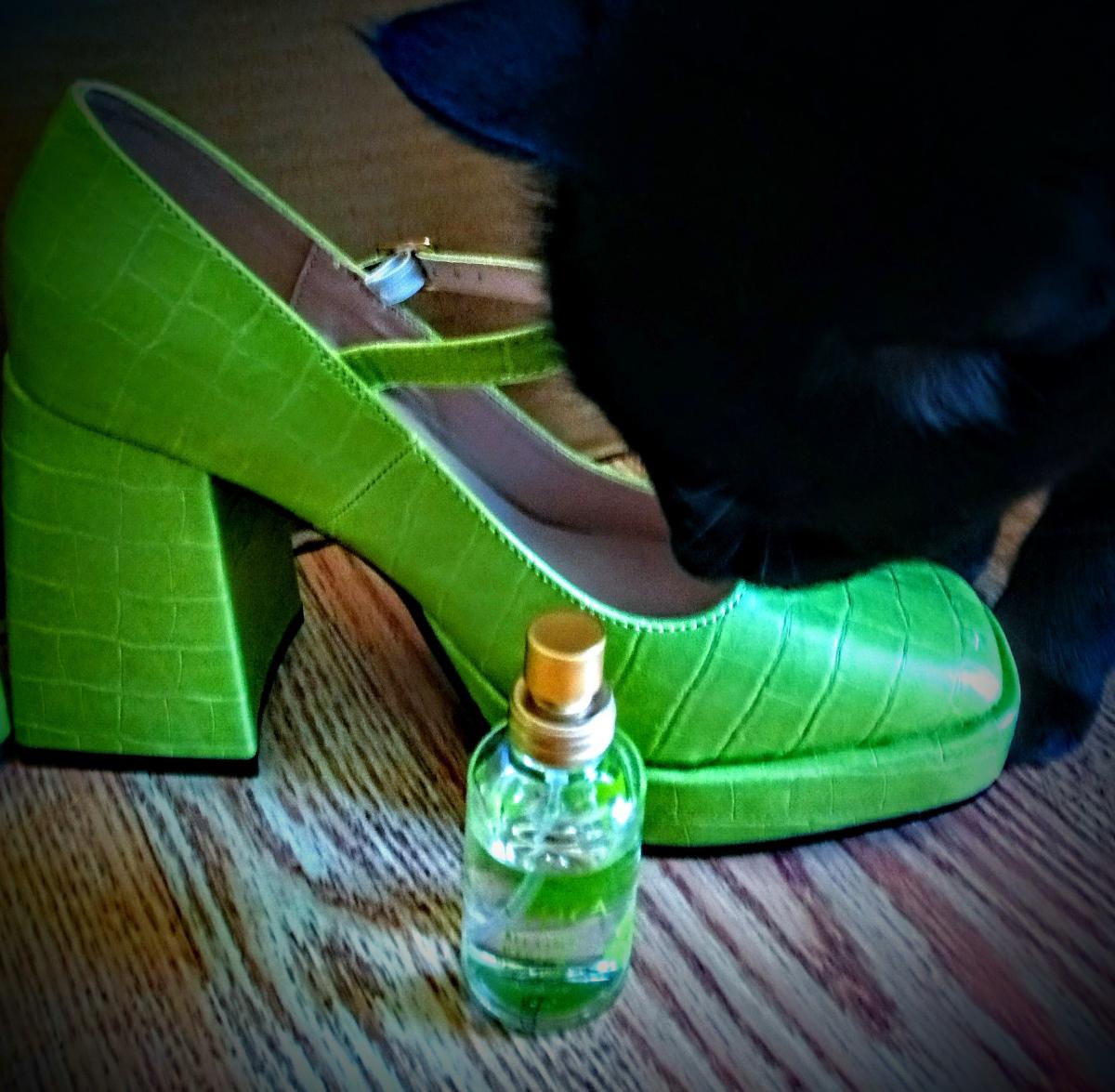 Bali Lime Papaya Pacifica perfume - a fragrance for women