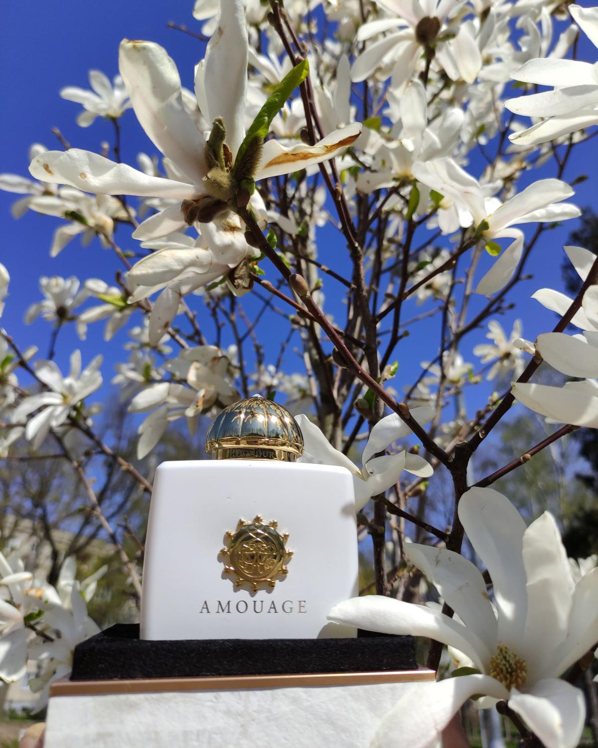 Honour Woman Amouage perfume - a fragrance for women 2011