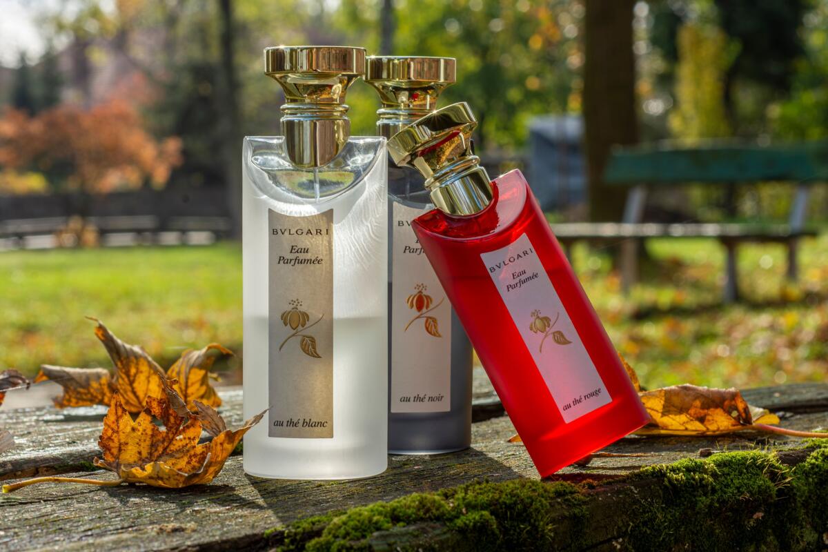 Eau Parfumee au The Blanc Bvlgari perfume - a fragrância Compartilhável ...