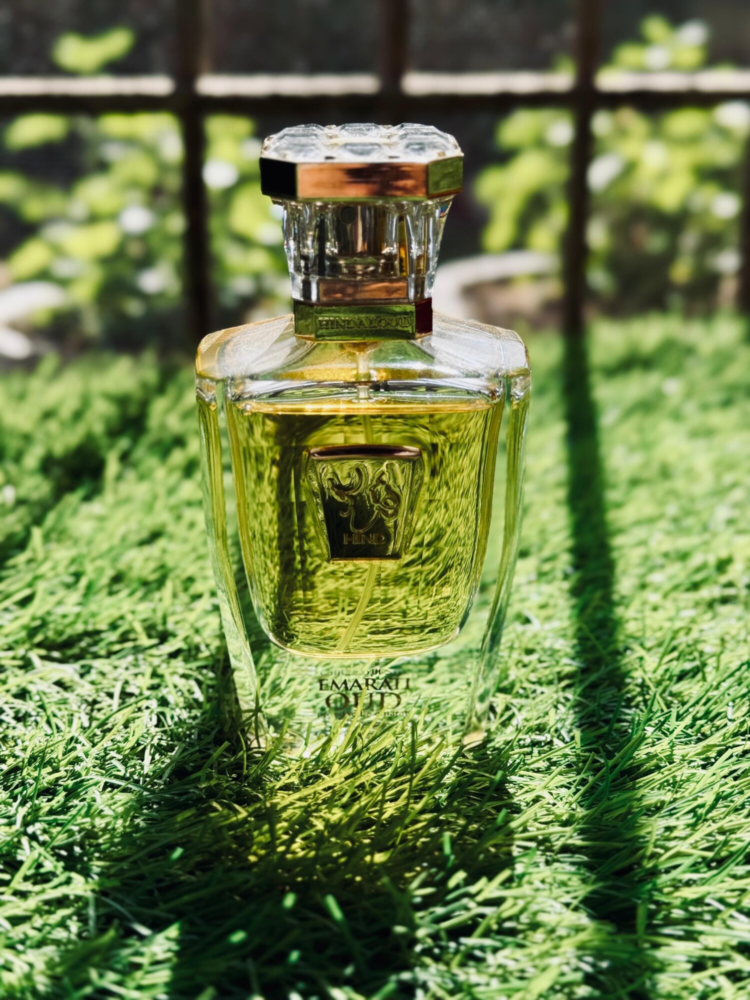 Emarati Oud Hind Al Oud parfum - un parfum pour homme et femme 2017
