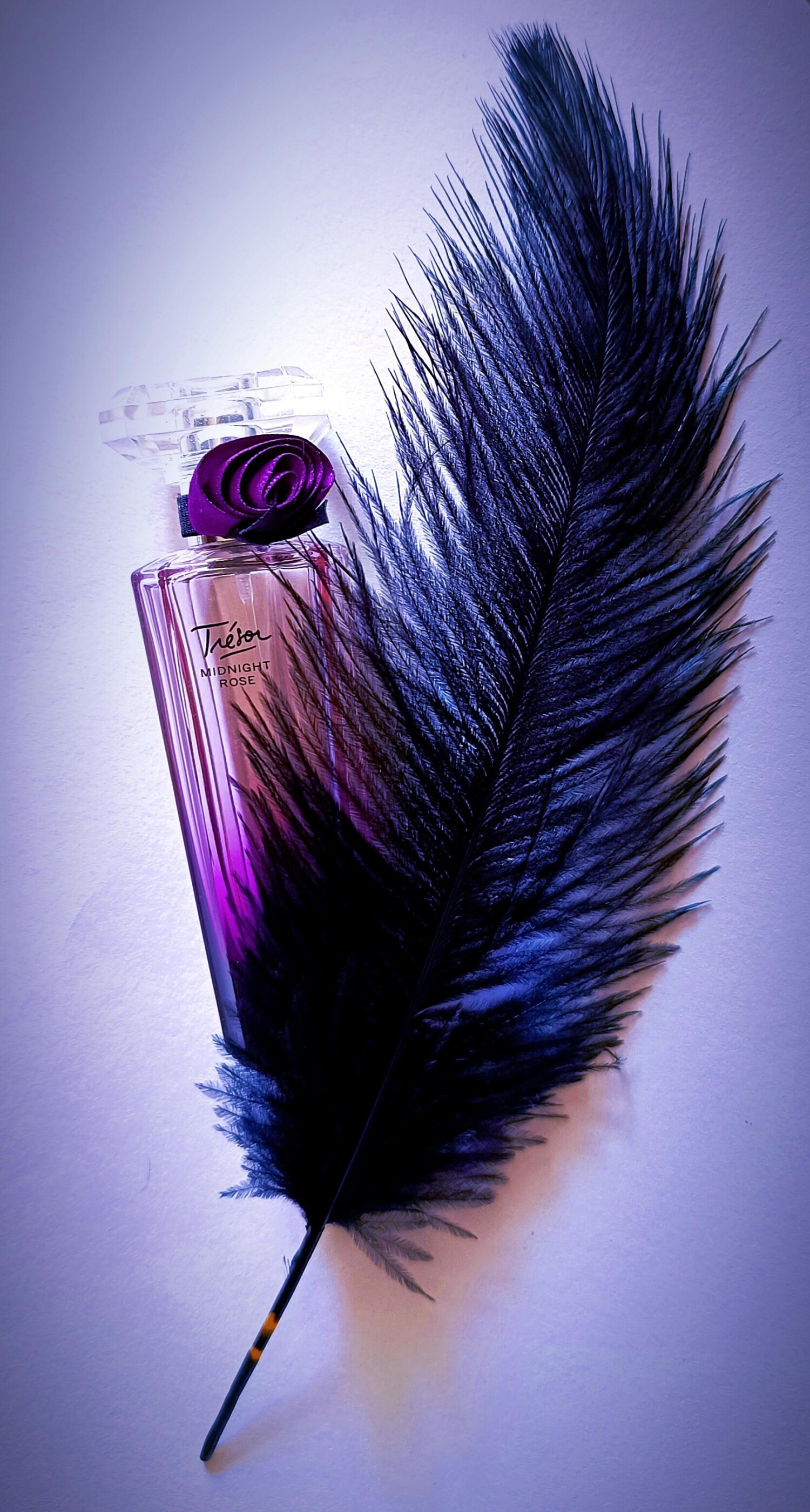 Trésor Midnight Rose Lancôme perfume - a fragrance for women 2011