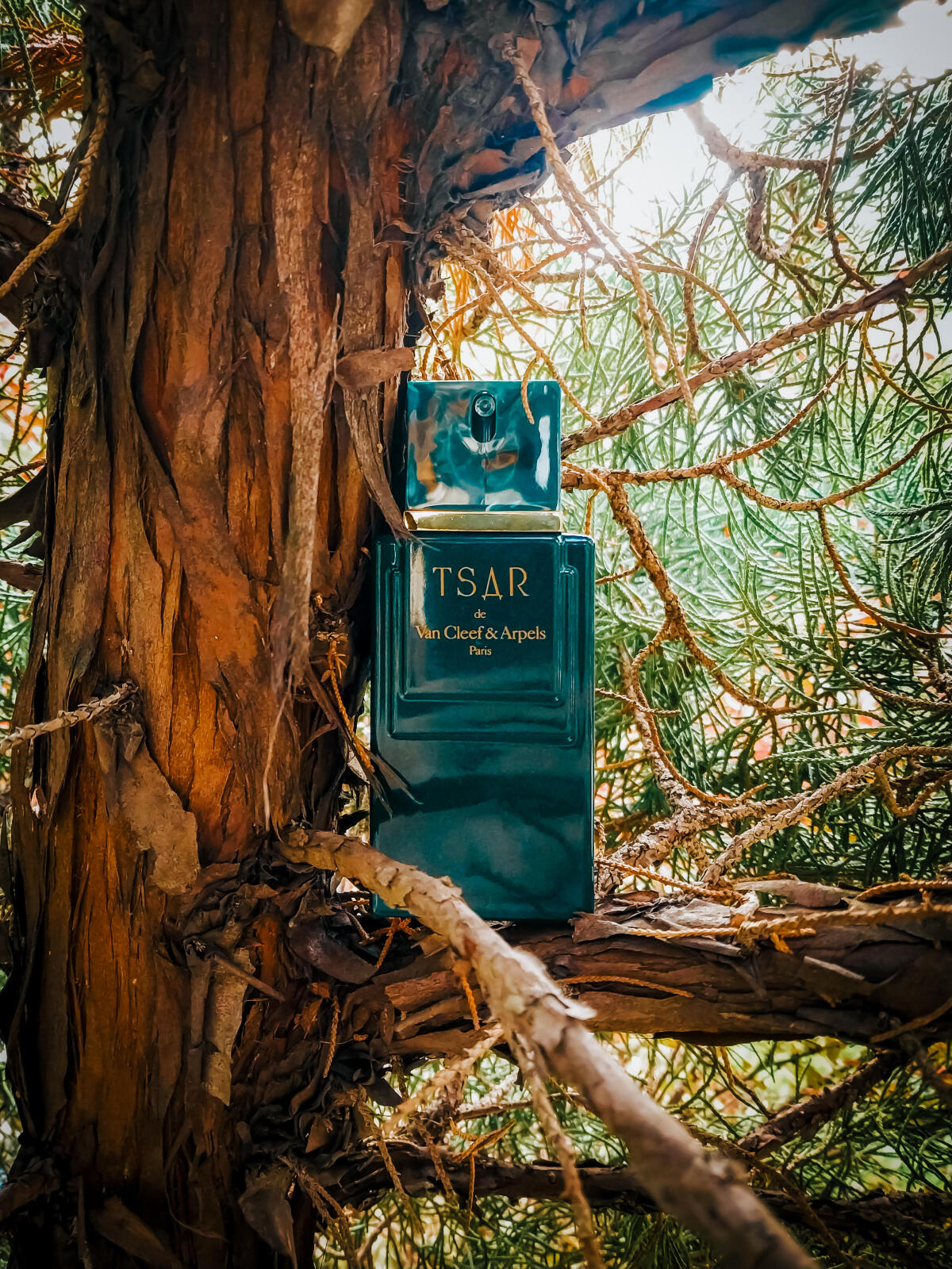 Tsar Van Cleef & Arpels cologne - a fragrance for men 1989