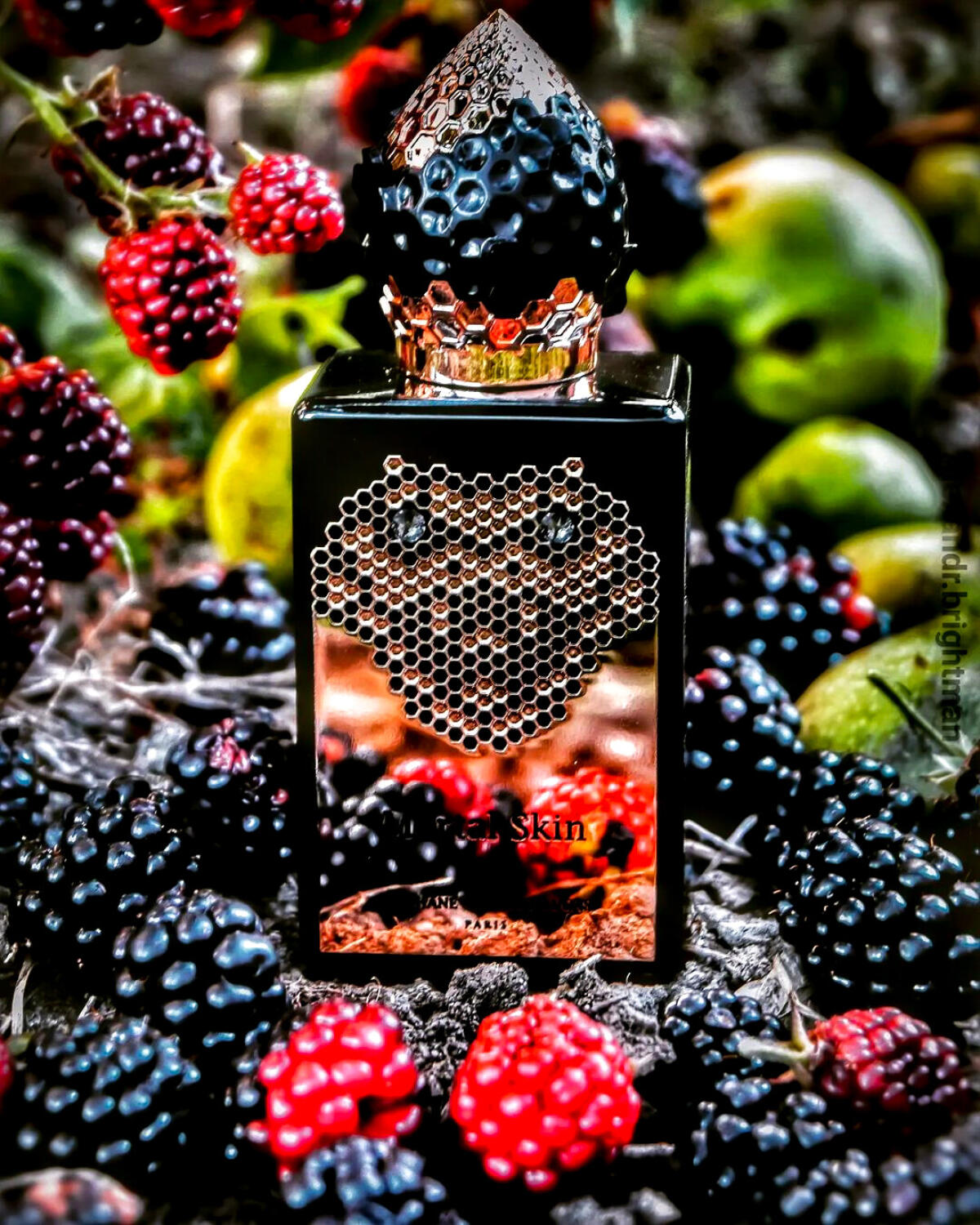 Mortal Skin Stéphane Humbert Lucas 777 perfume - a fragrance for women ...