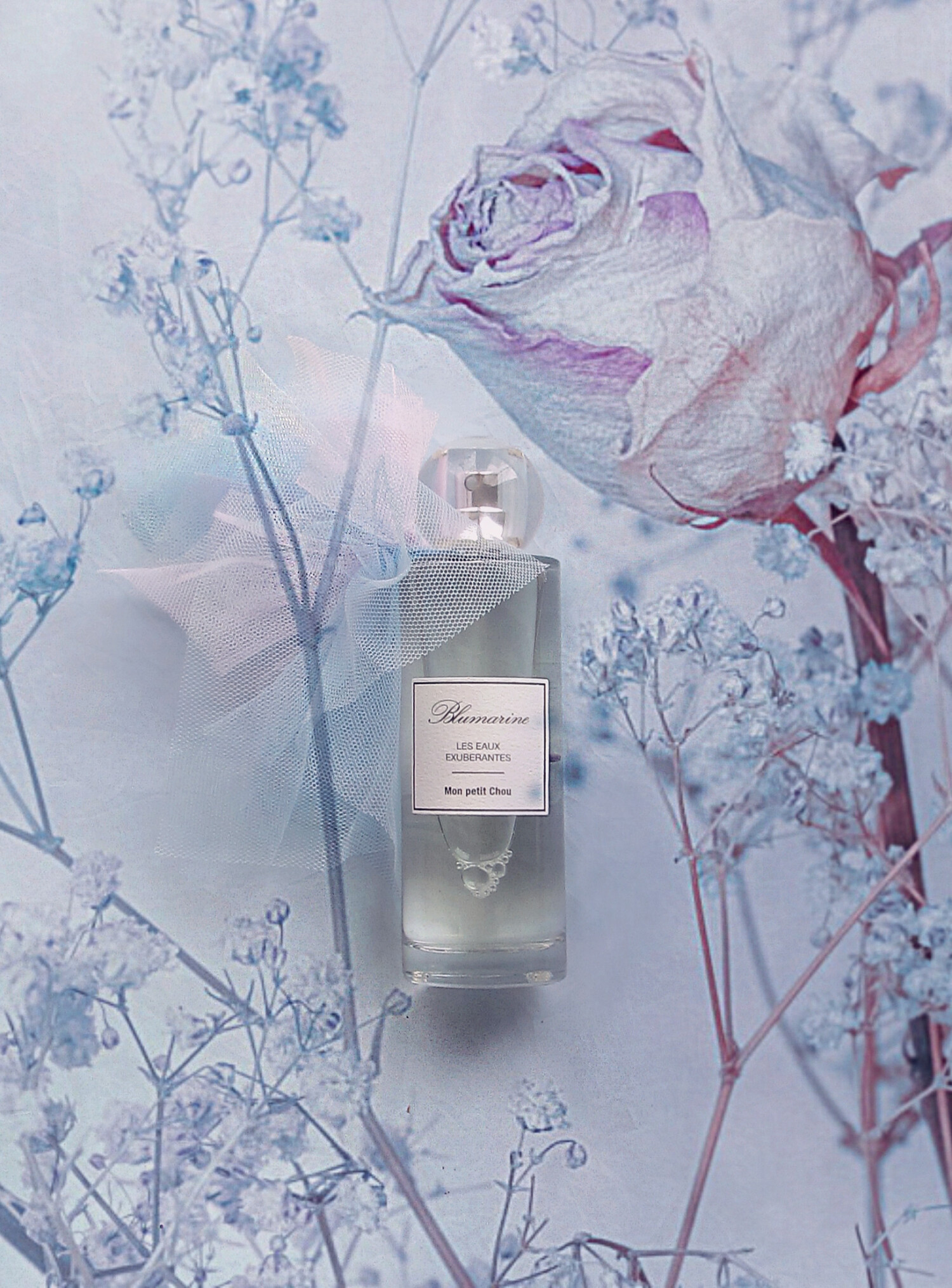 Mon Petit Chou Blumarine parfum - un parfum pour femme 2022