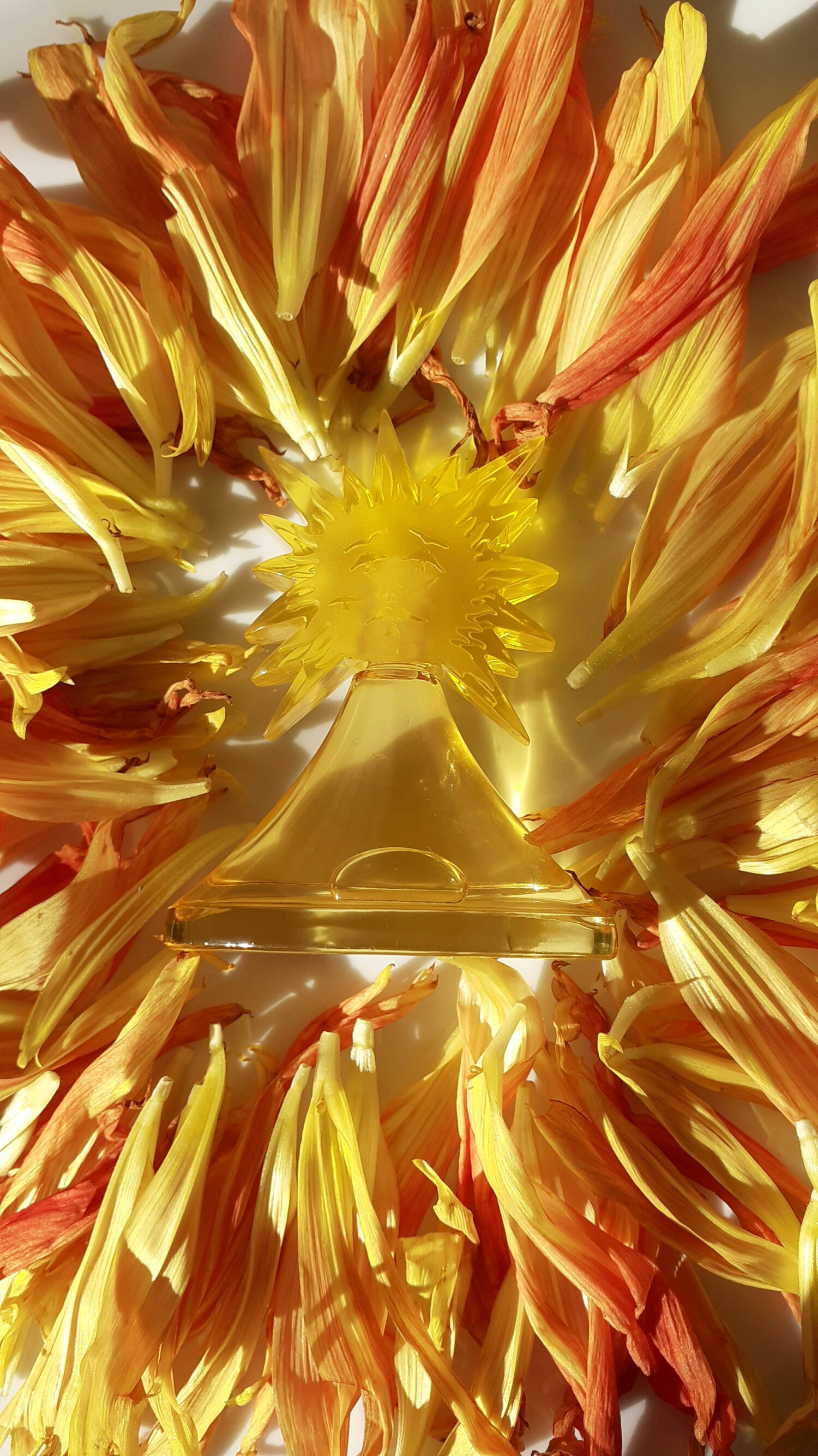 Le Roy Soleil Salvador Dali perfume - a fragrance for women 1997