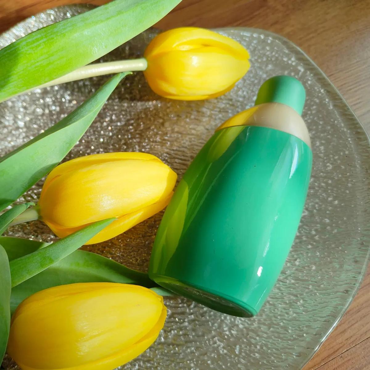 Eden Cacharel perfume - a fragrance for women 1994