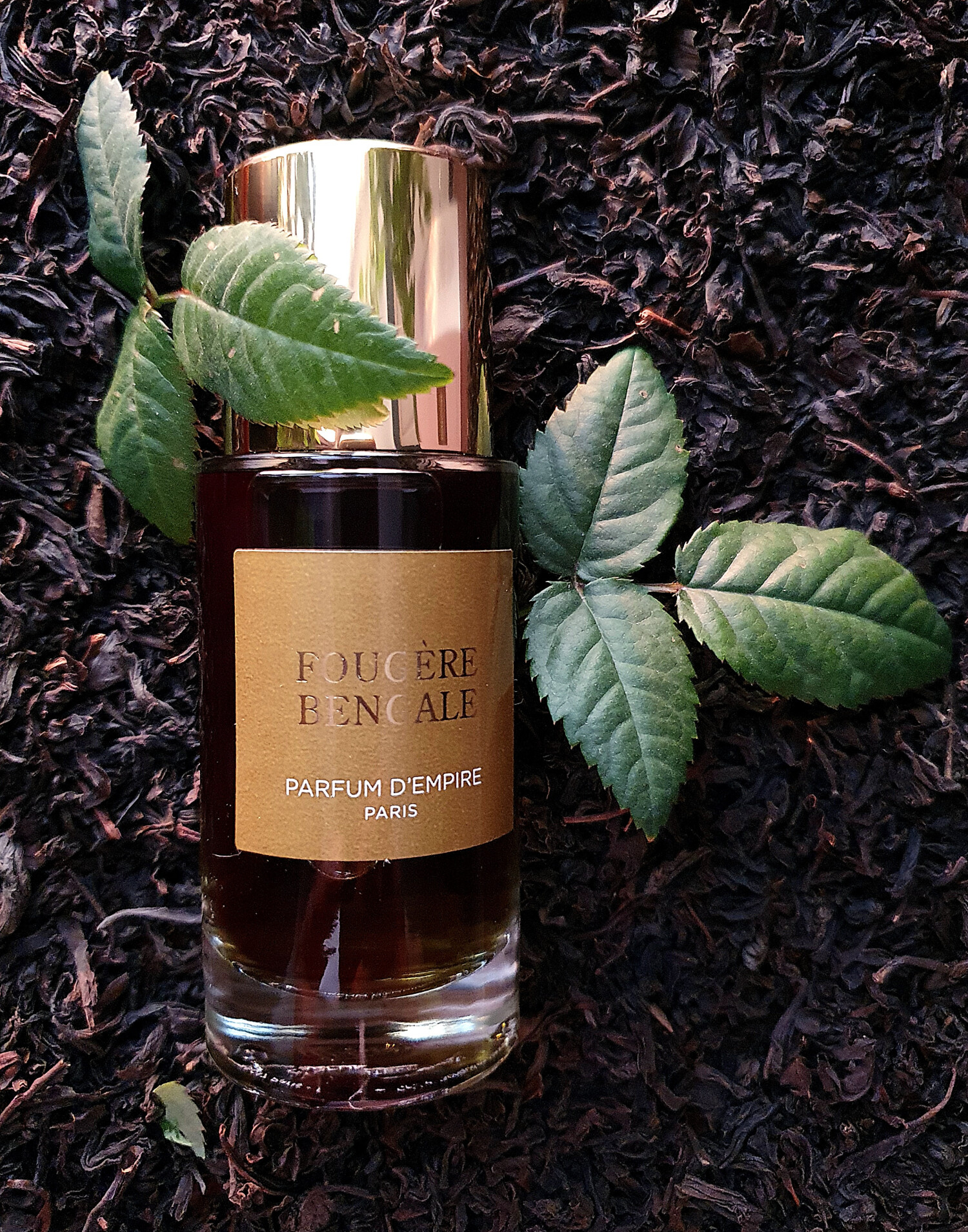 Fougere Bengale Parfum d'Empire cologne - a fragrance for men 2007