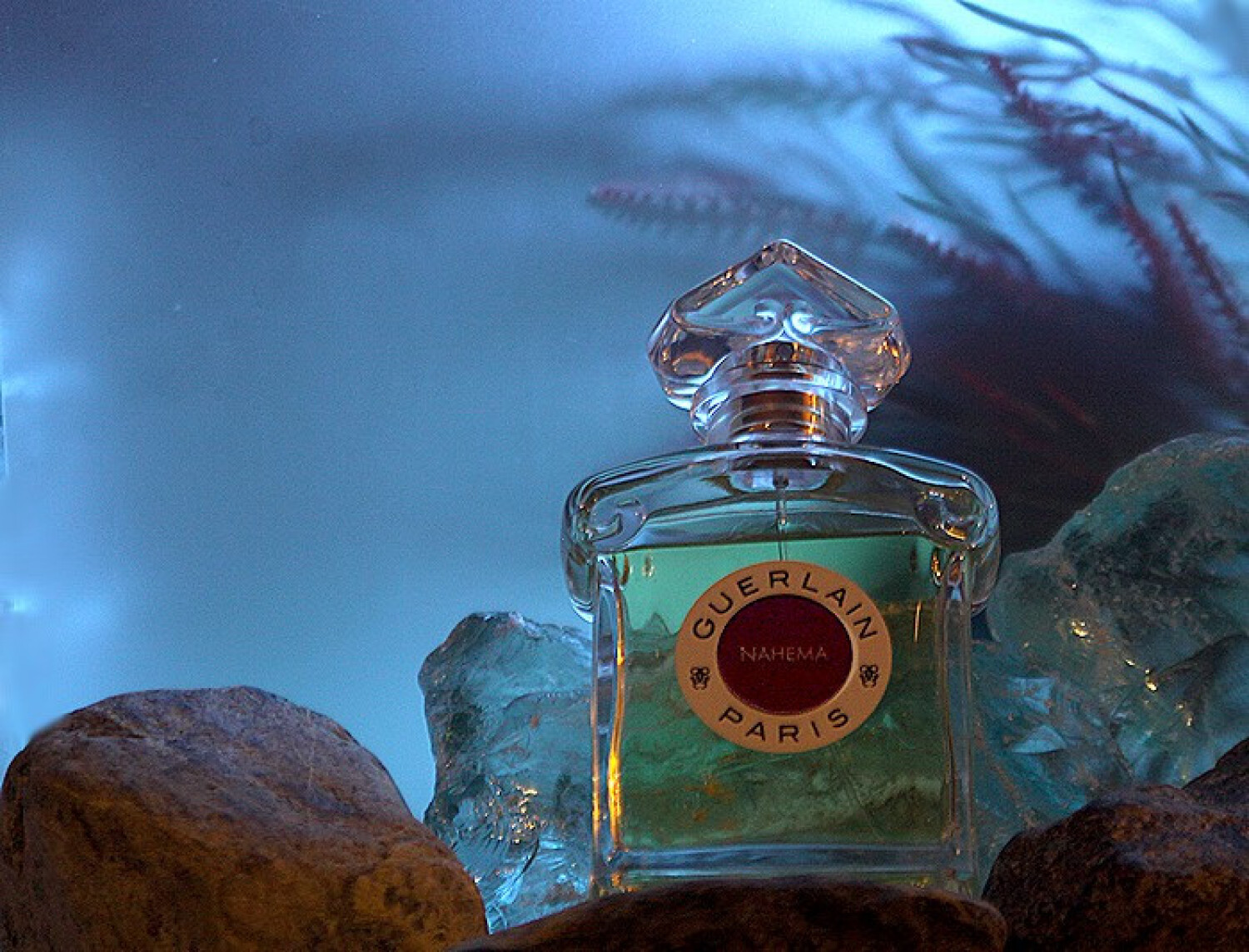 Nahema Eau de Parfum Guerlain perfume - a fragrance for women 2021