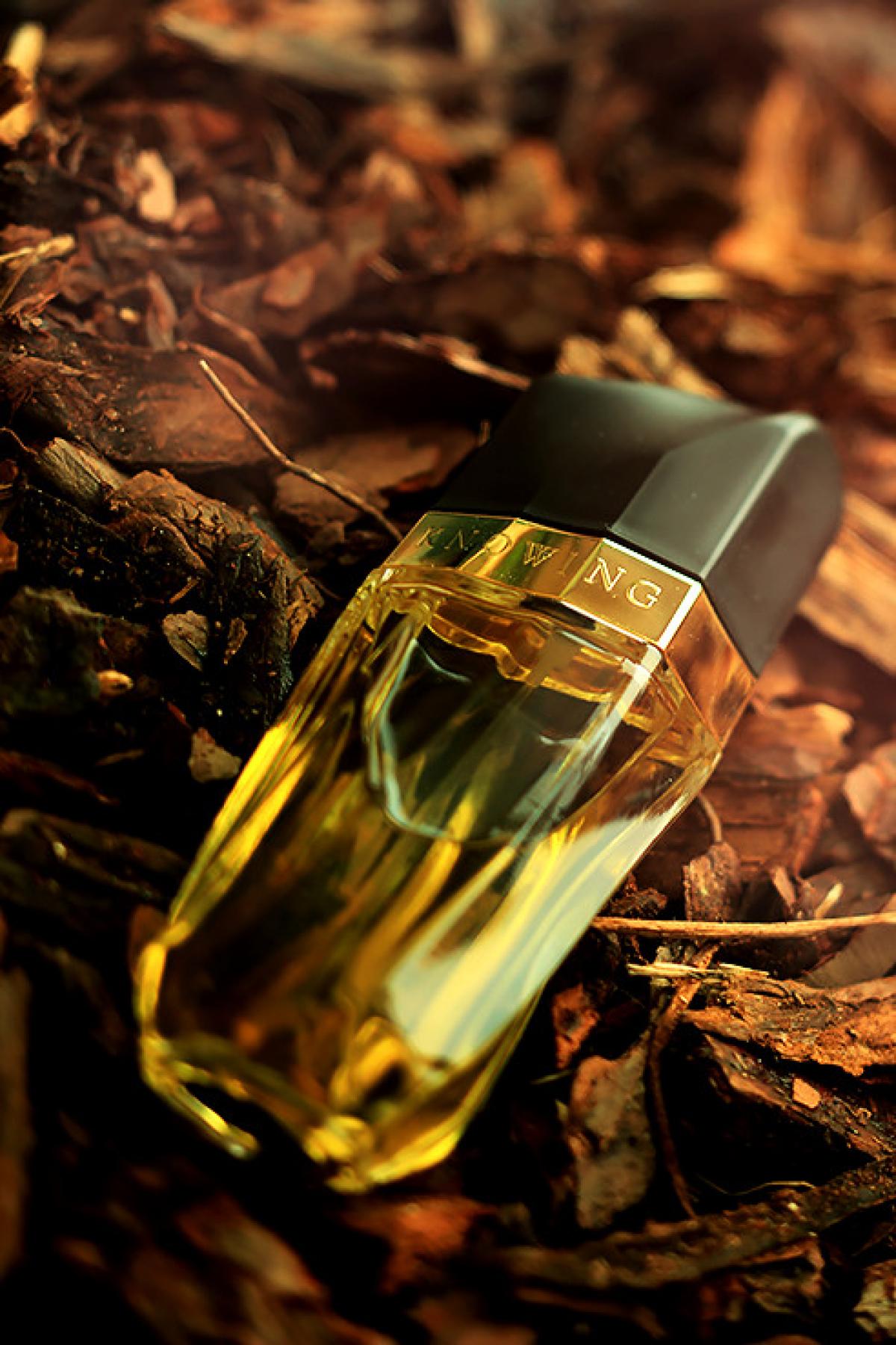 Knowing Estée Lauder perfume - a fragrance for women 1988