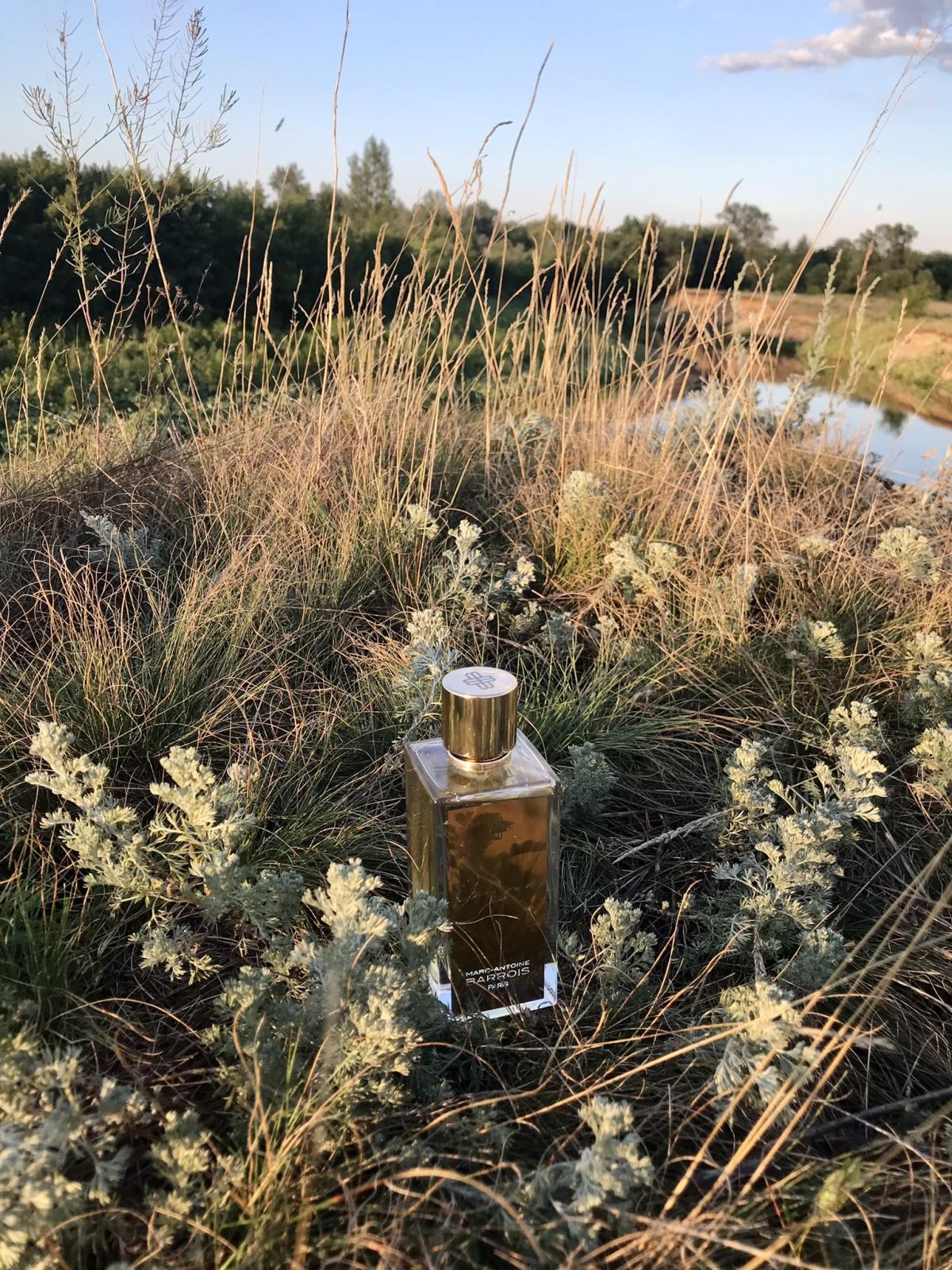 Ganymede Marc-Antoine Barrois perfume - a fragrance for women and men 2019