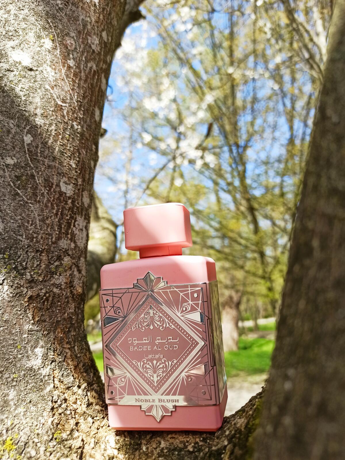 Noble Blush Lattafa Perfumes perfume - a new fragrance for women 2024