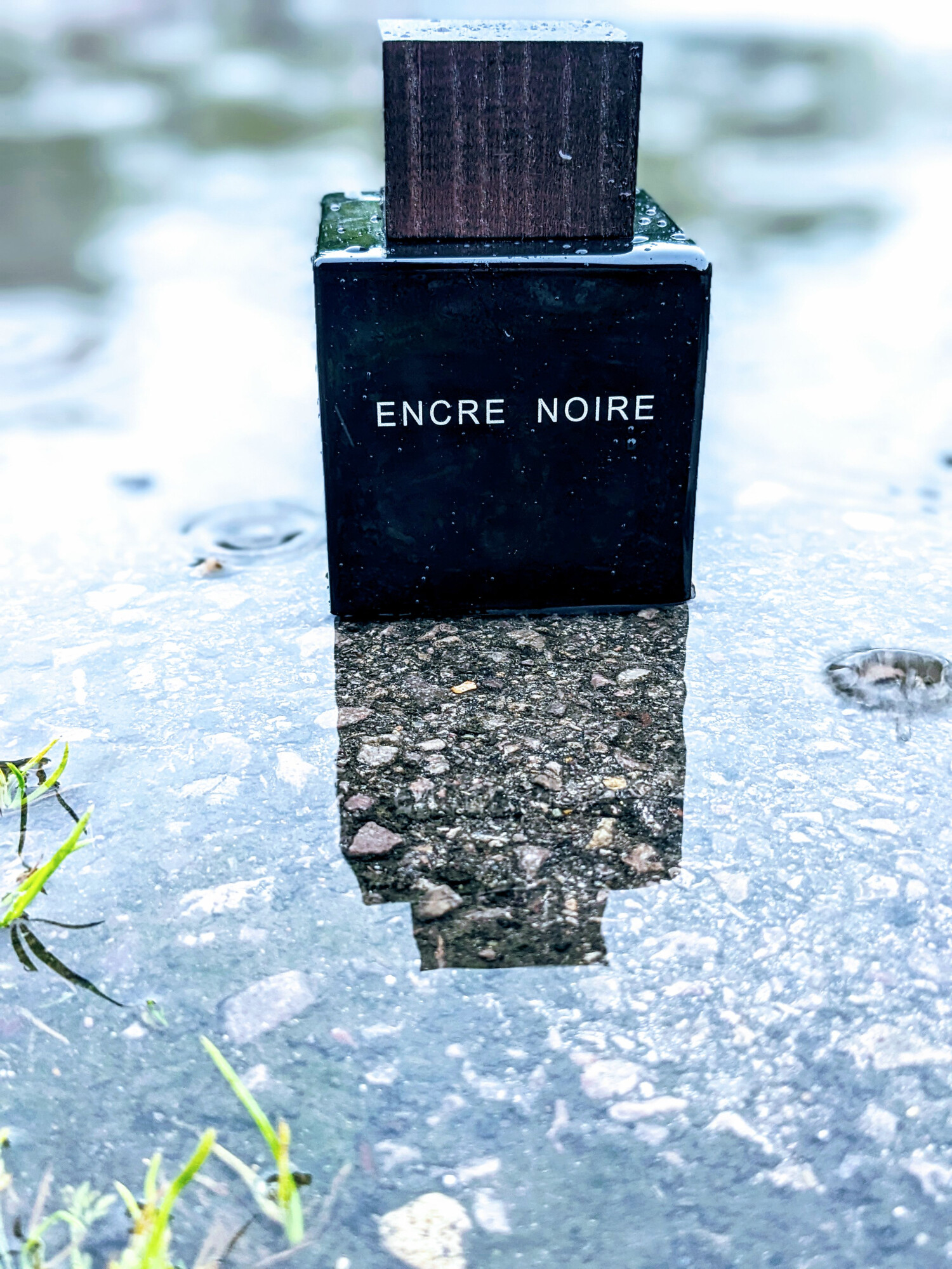 Encre Noire Lalique cologne - a fragrance for men 2006