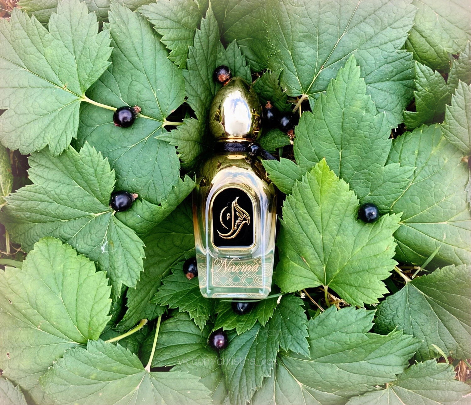Naema Arabesque Perfumes perfume - a fragrance for women and men 2017