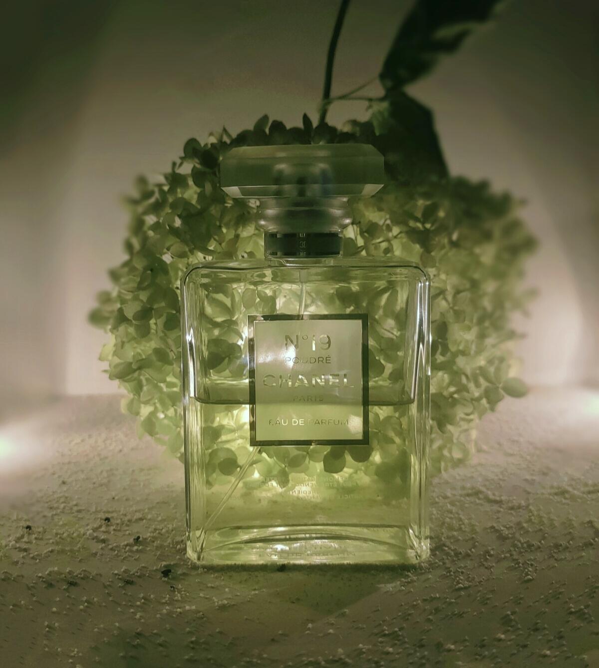 Chanel No 19 Poudre Chanel perfume - a fragrance for women 2011