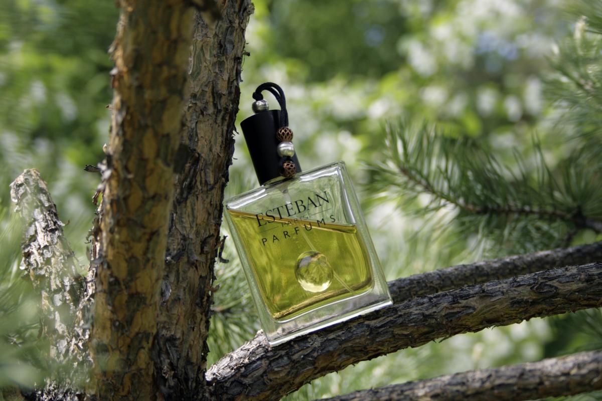 Modern Chypre Esteban perfume - a fragrance for women 2007