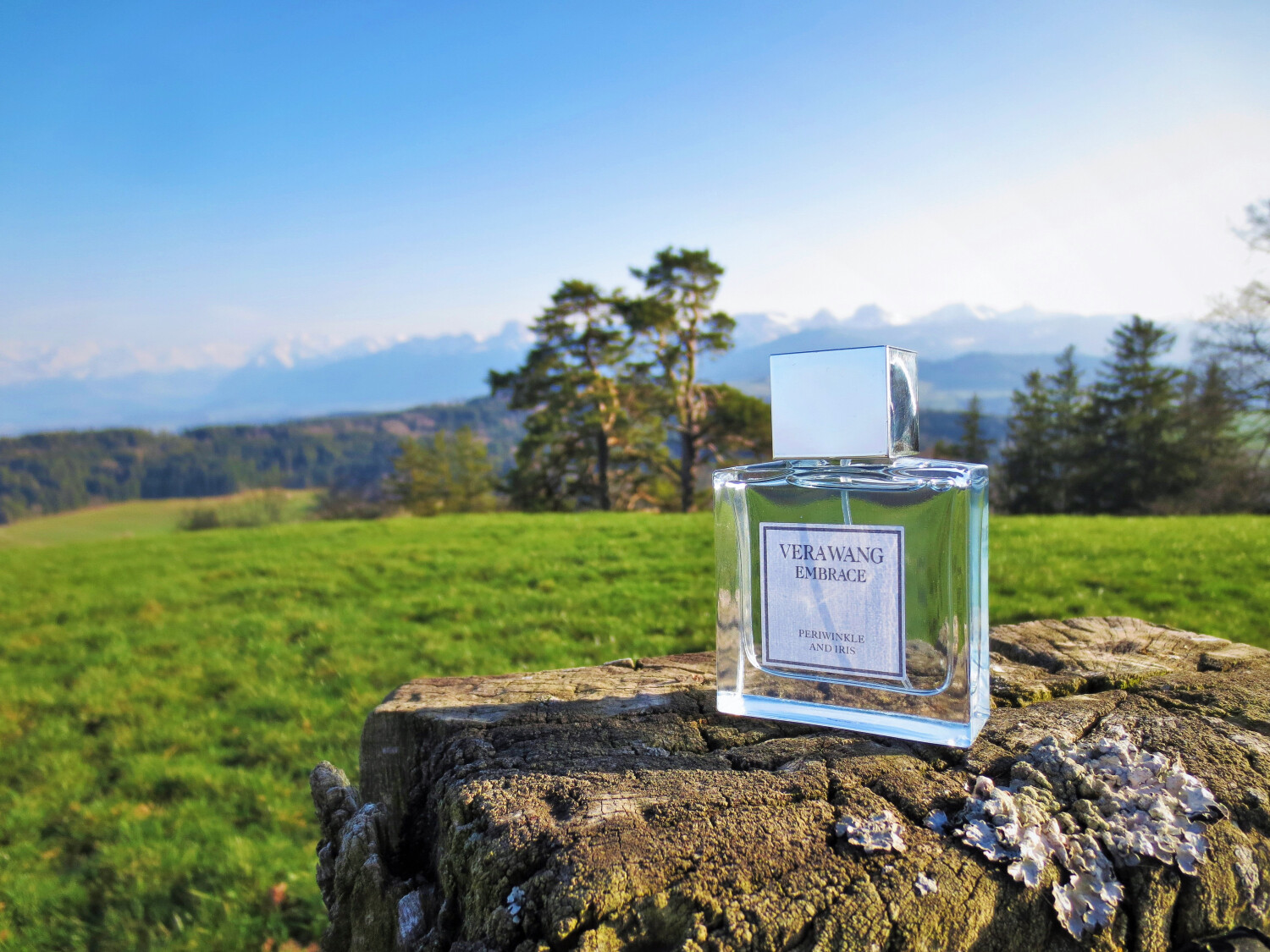 Embrace Periwinkle & Iris Vera Wang perfume - a fragrance for women 2015