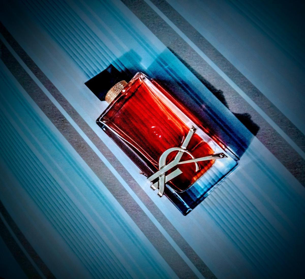 Libre Intense Yves Saint Laurent perfume - a new fragrance for women 2020