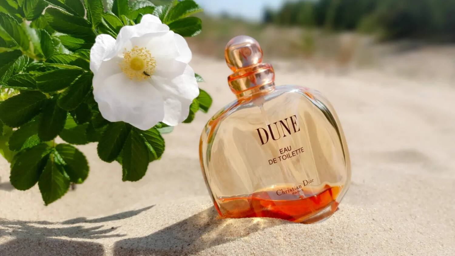 Dune Dior perfume - a fragrance for women 1991
