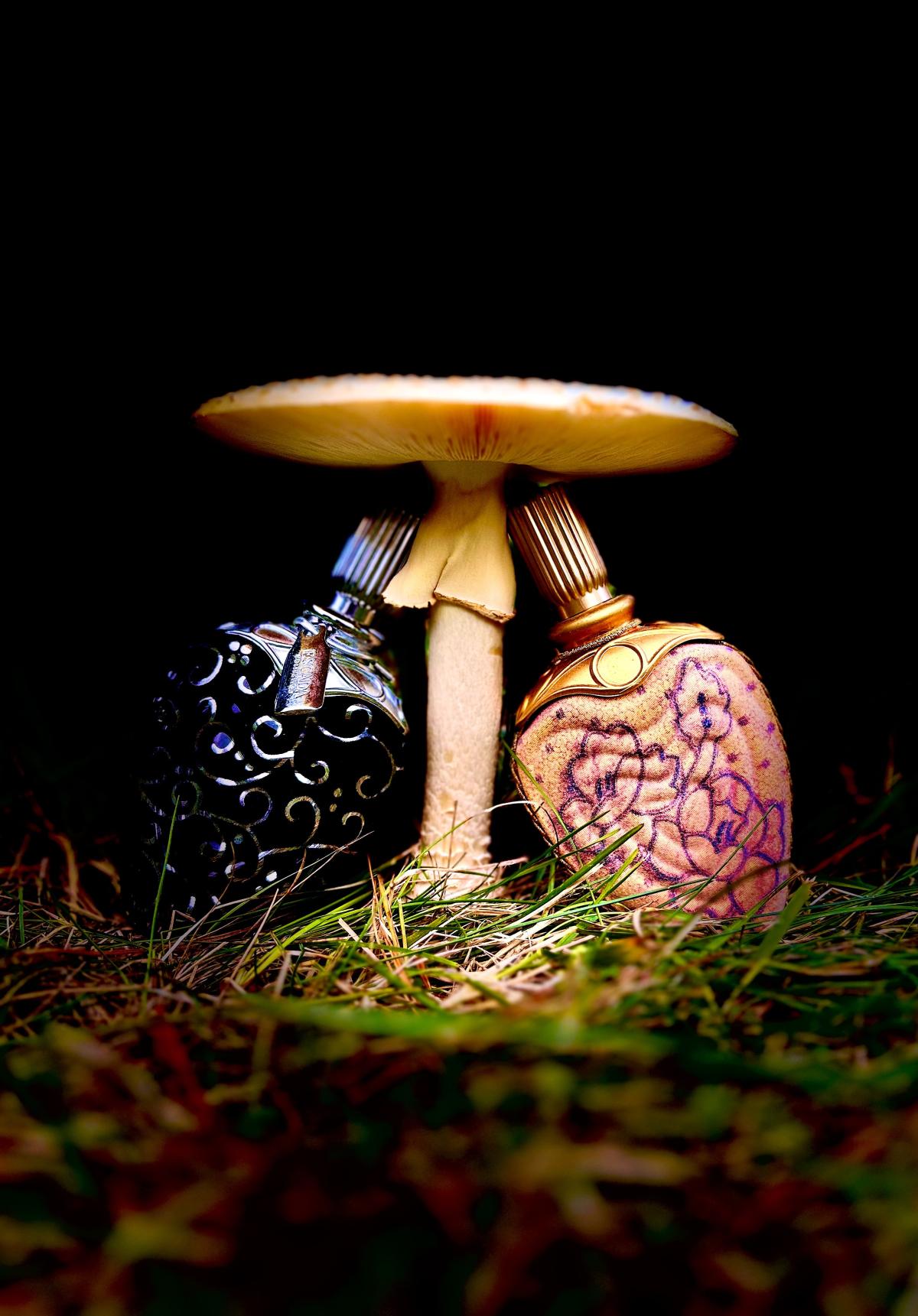 Escada Collection Escada perfume - a fragrance for women 1997