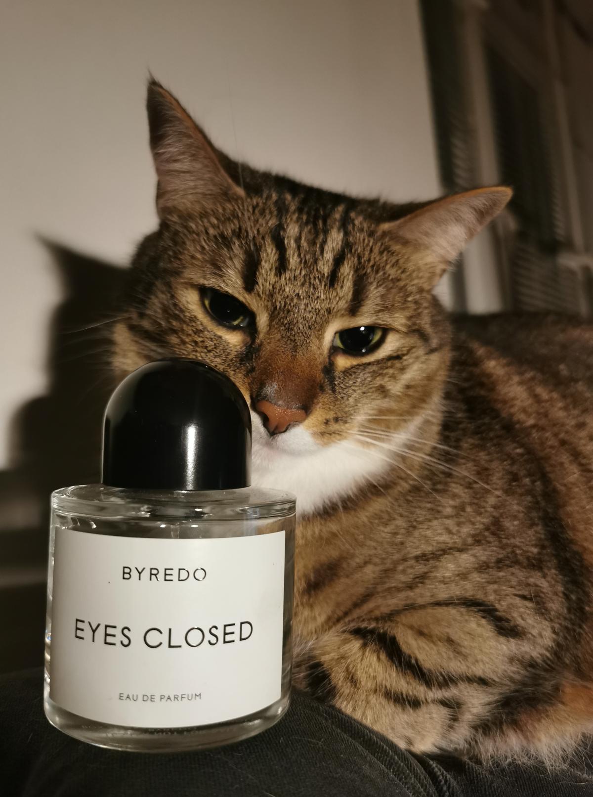 Eyes Closed Byredo perfume - a new fragrance for women and men 2022