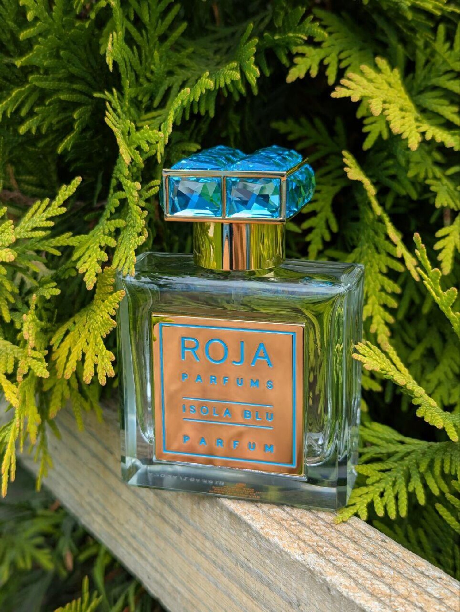 Isola Blu Roja Dove perfume - a fragrance for women and men 2023