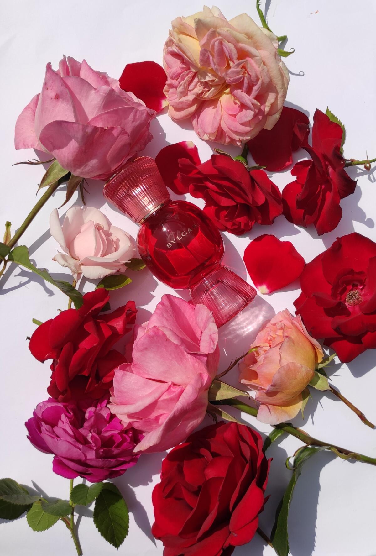 Fiori D'Amore Bvlgari perfume - a fragrance for women 2021