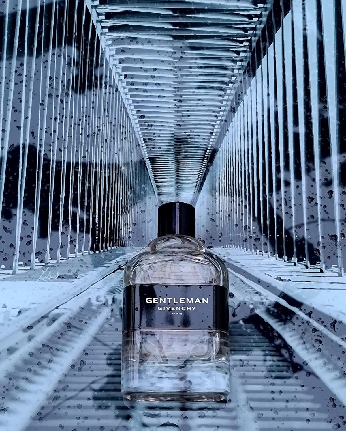 Gentleman (2017) Givenchy cologne - a fragrance for men 2017