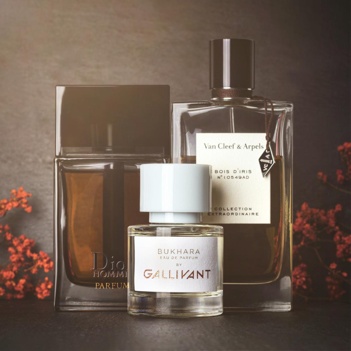 Dior Homme Parfum Dior colônia - a fragrância Masculino 2014