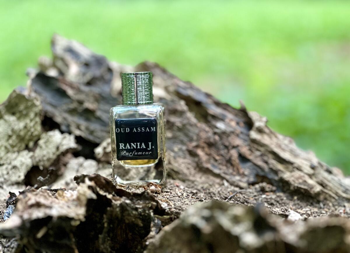 Oud Assam Rania J perfume - a fragrance for women and men 2013