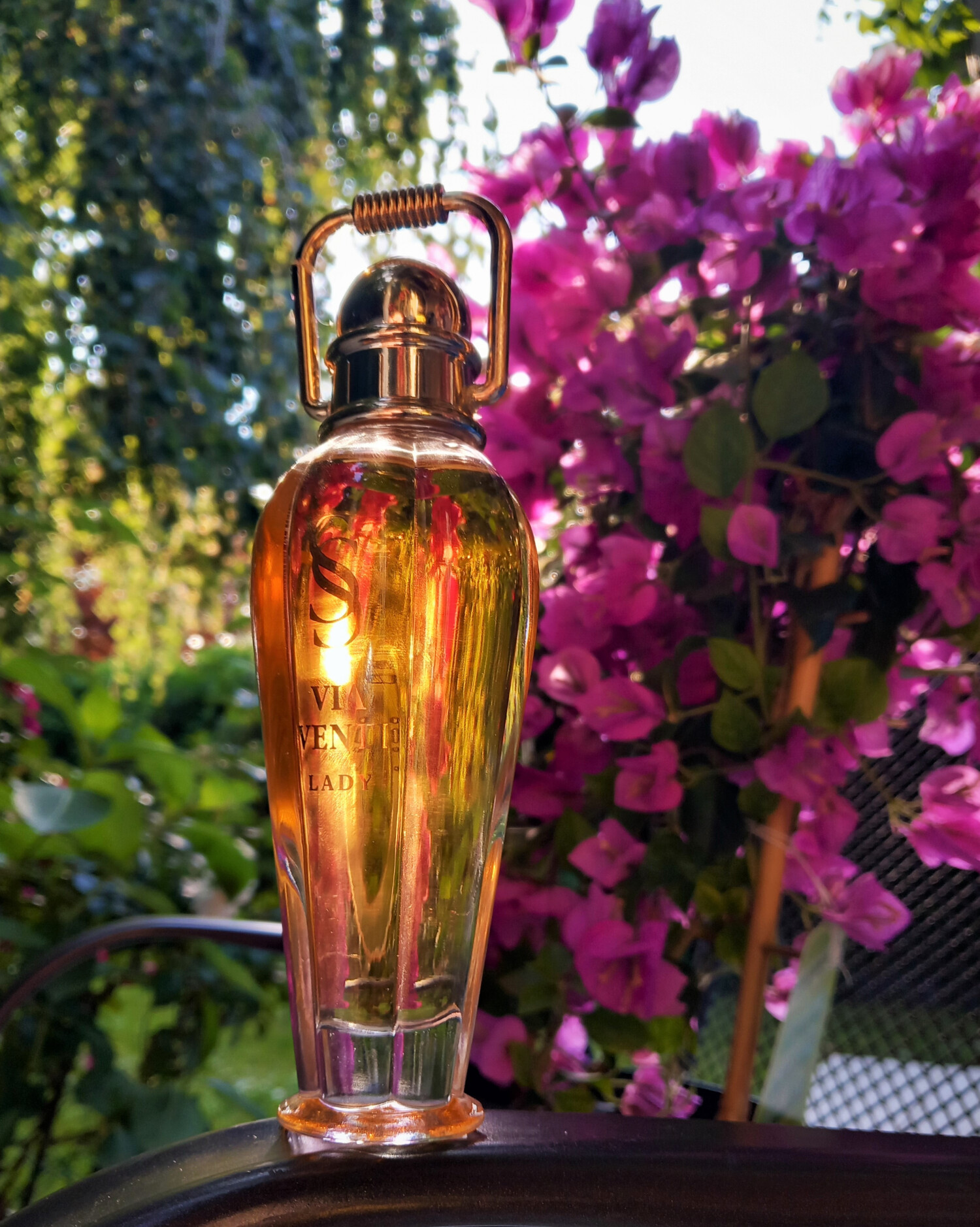 Via Venti Sergio Soldano perfume - a fragrance for women