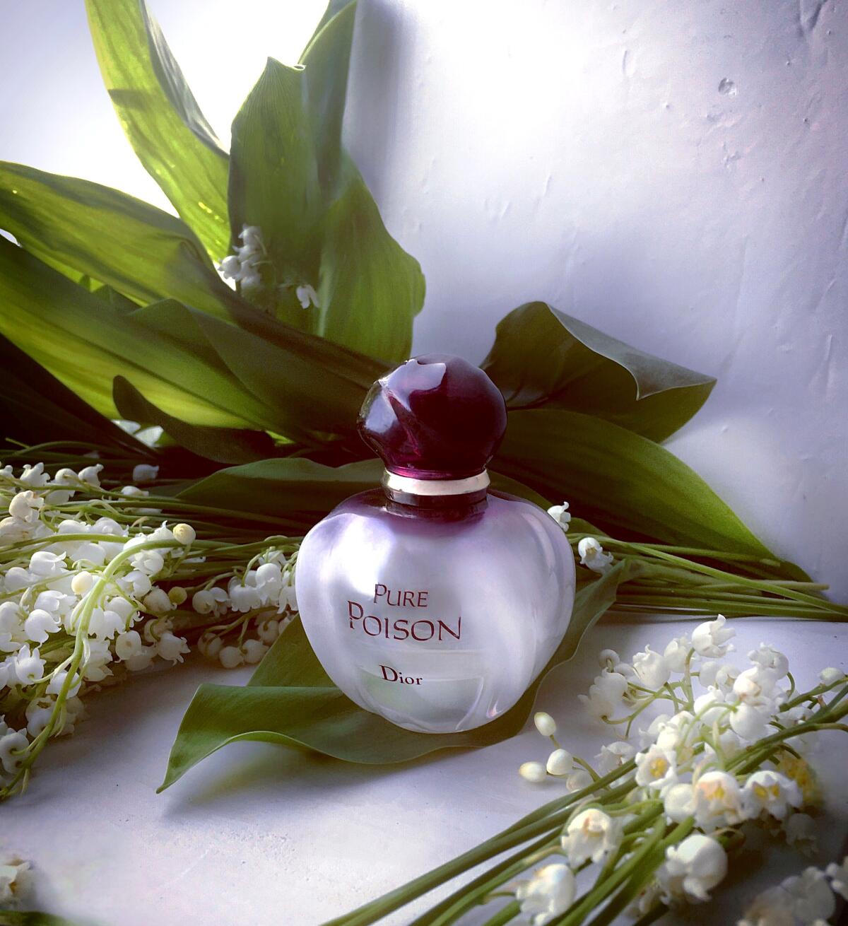 Pure Poison Elixir Dior perfume - a fragrance for women 2006