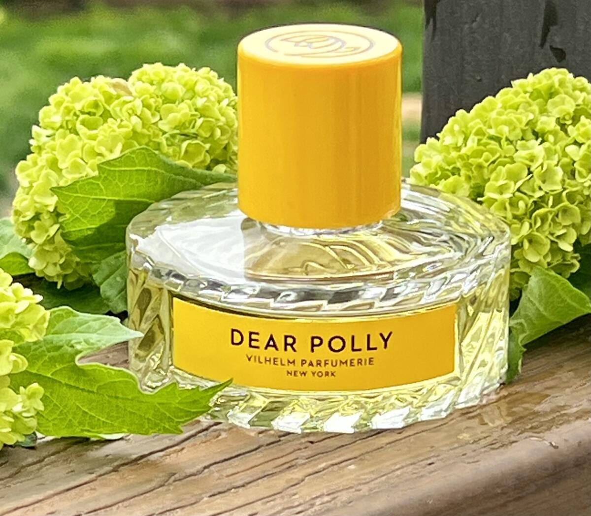 Dear Polly Vilhelm Parfumerie perfume - a fragrance for women and men 2015