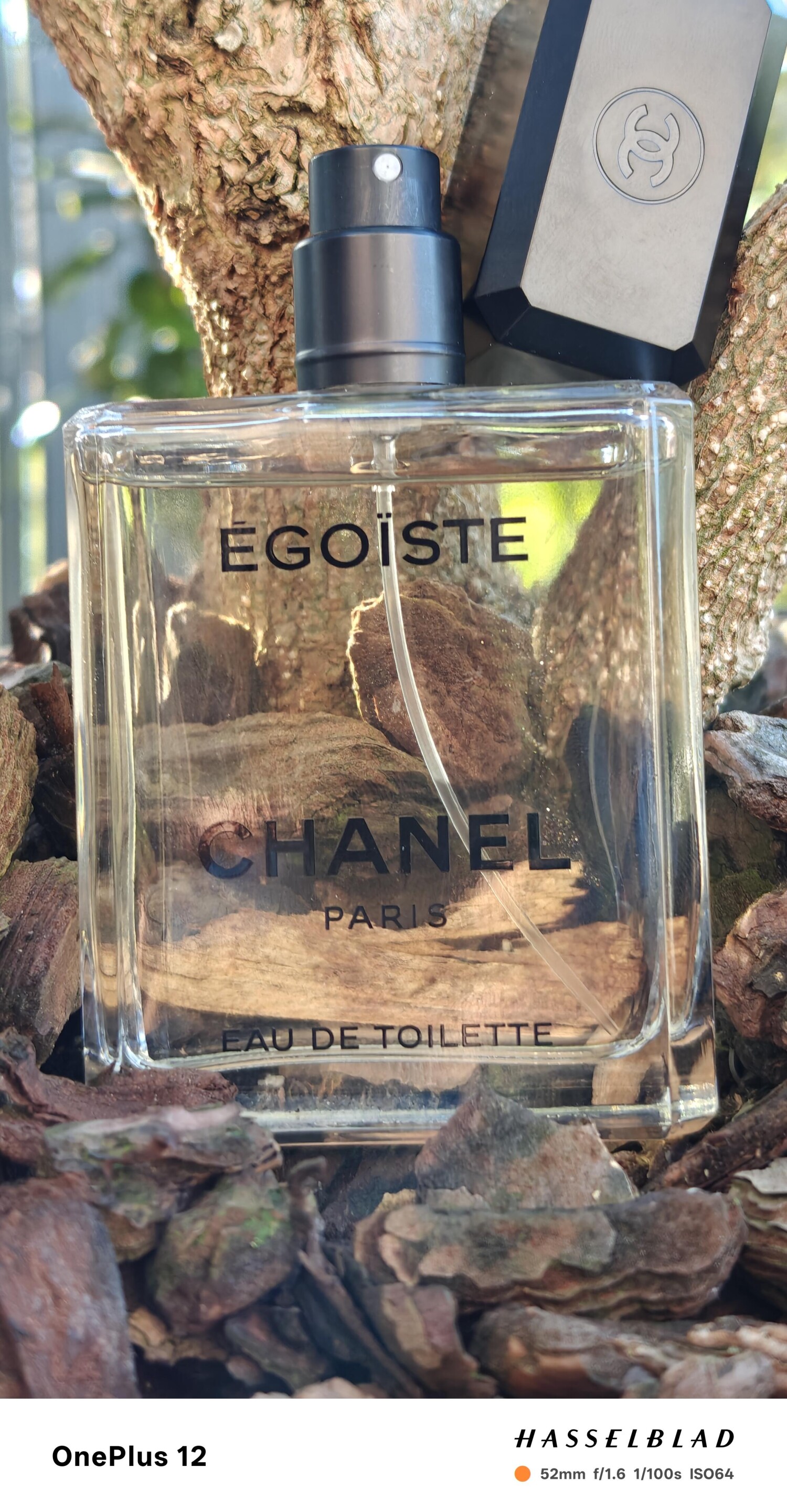 Egoiste Chanel cologne - a fragrance for men 1990