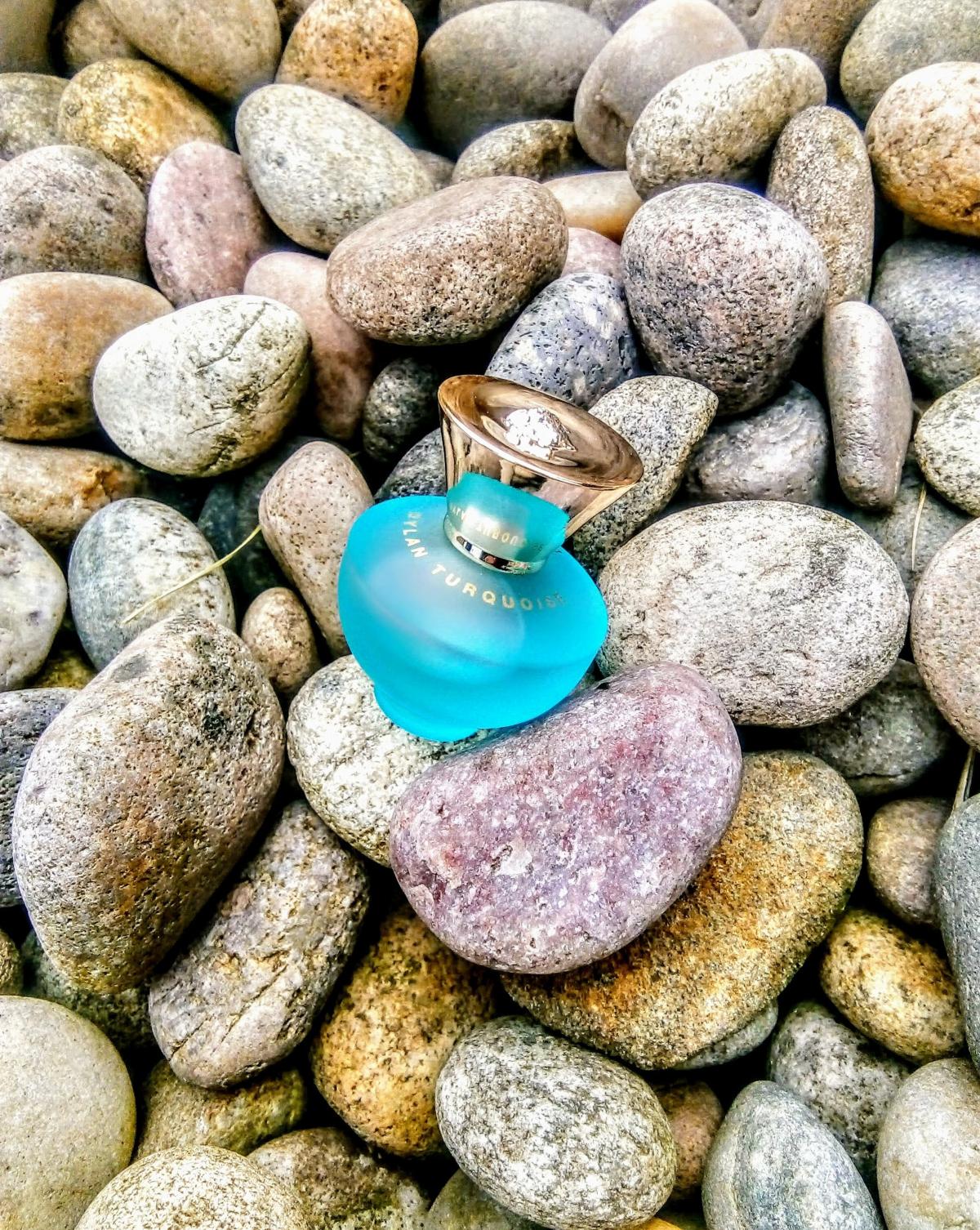 Versace Pour Femme Dylan Turquoise Versace perfume - a fragrance for ...