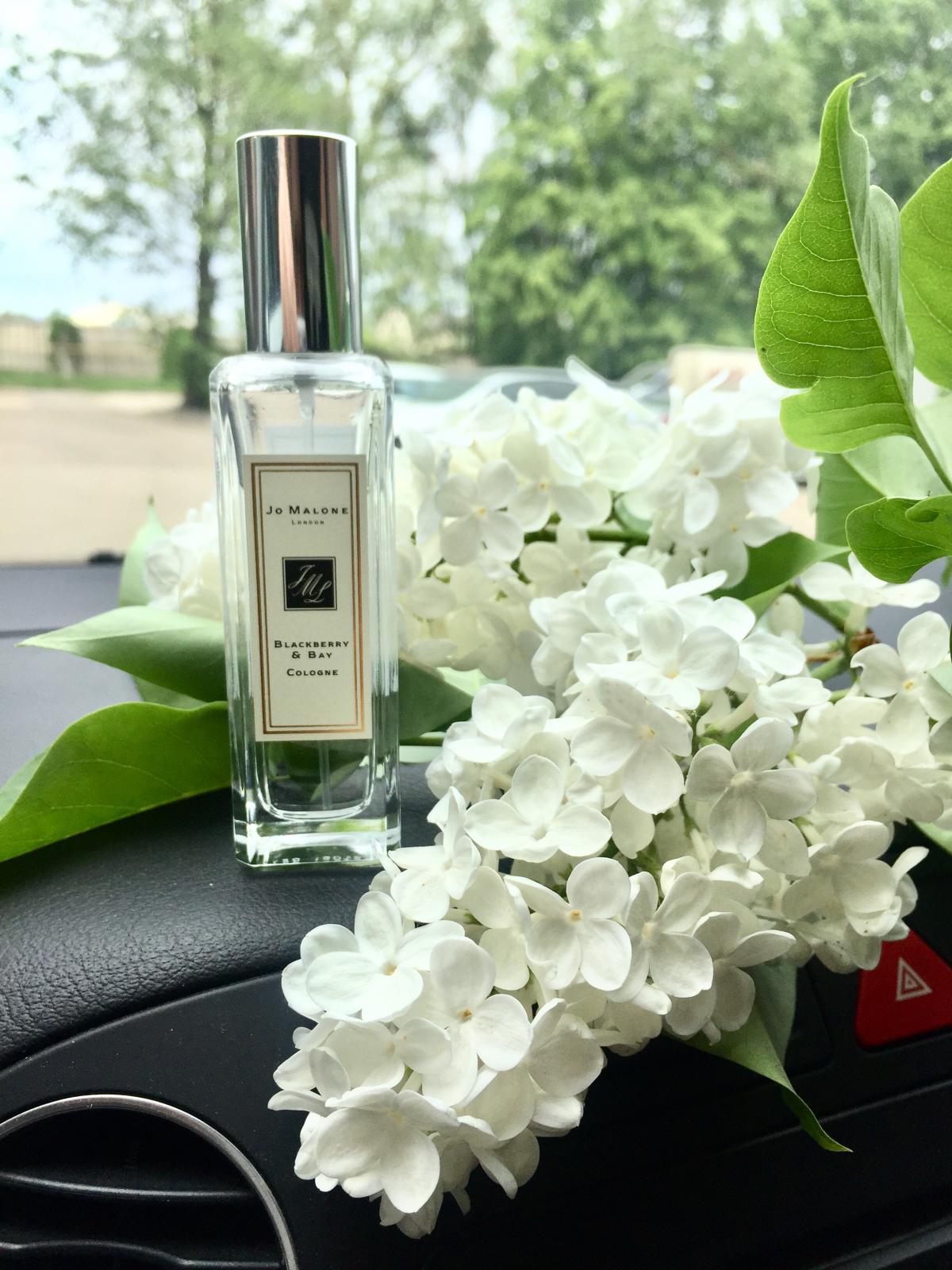 Blackberry & Bay Jo Malone London perfume - a fragrance for women 2012