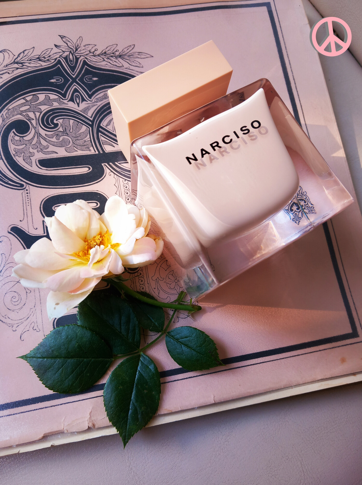 Narciso Poudree Narciso Rodriguez perfume - a fragrance for women 2016