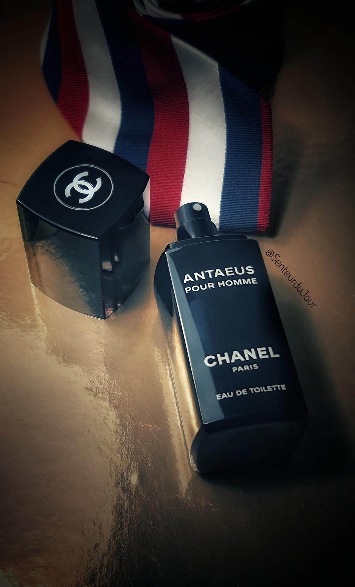 Antaeus Chanel cologne - a fragrance for men 1981