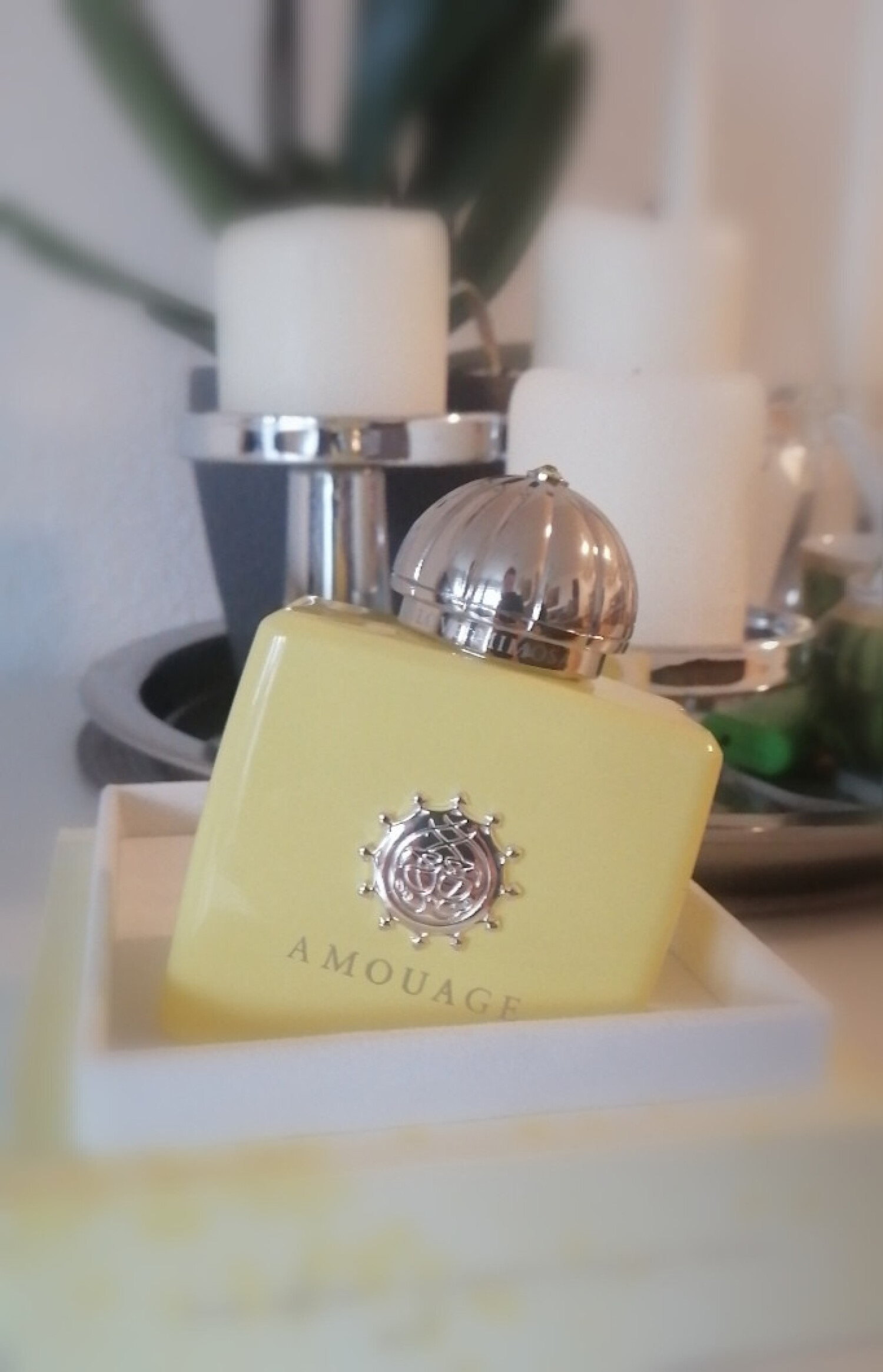 Love Mimosa Amouage perfume - a fragrance for women 2019